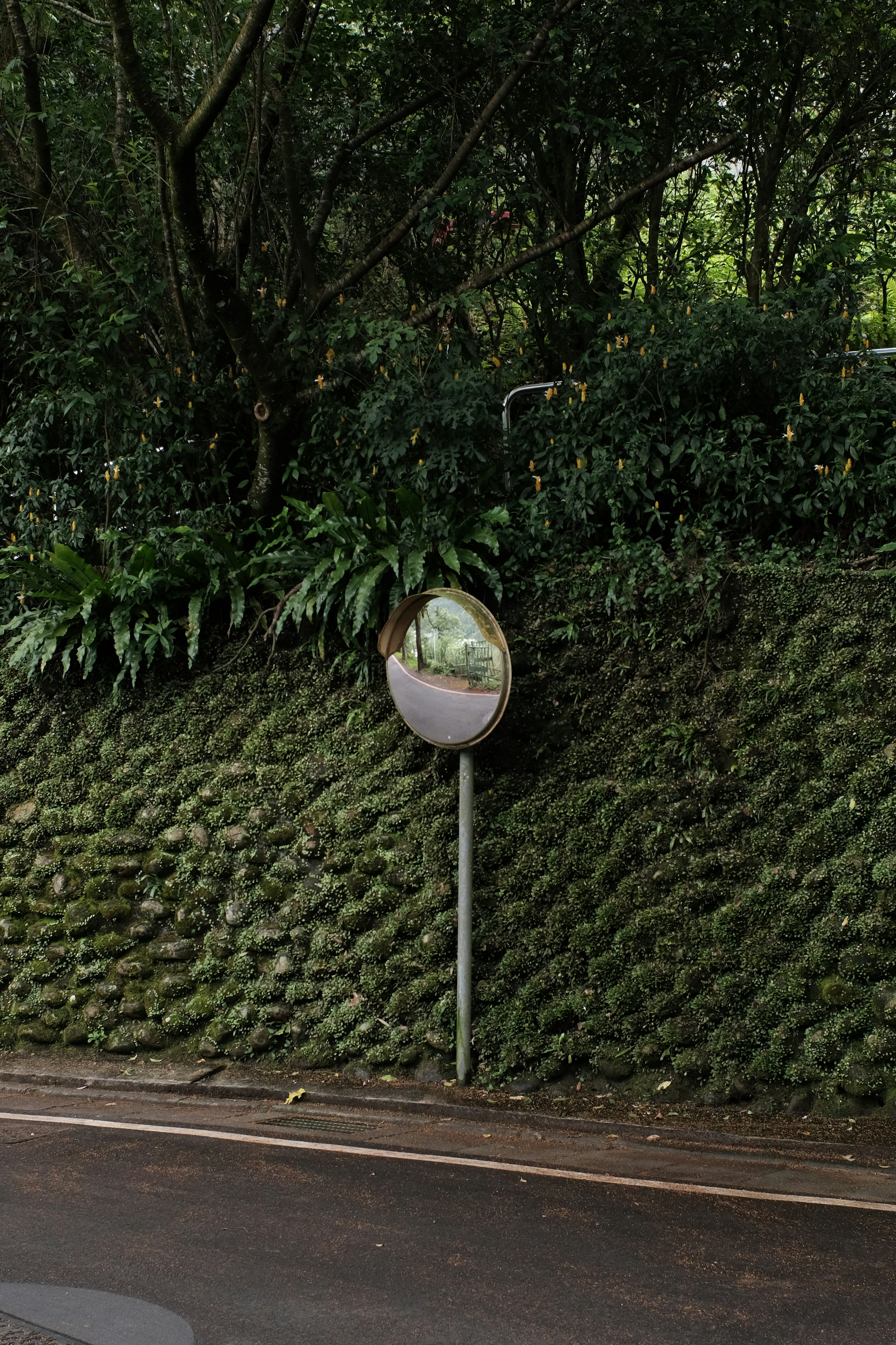 The Whispering Mirror Borough