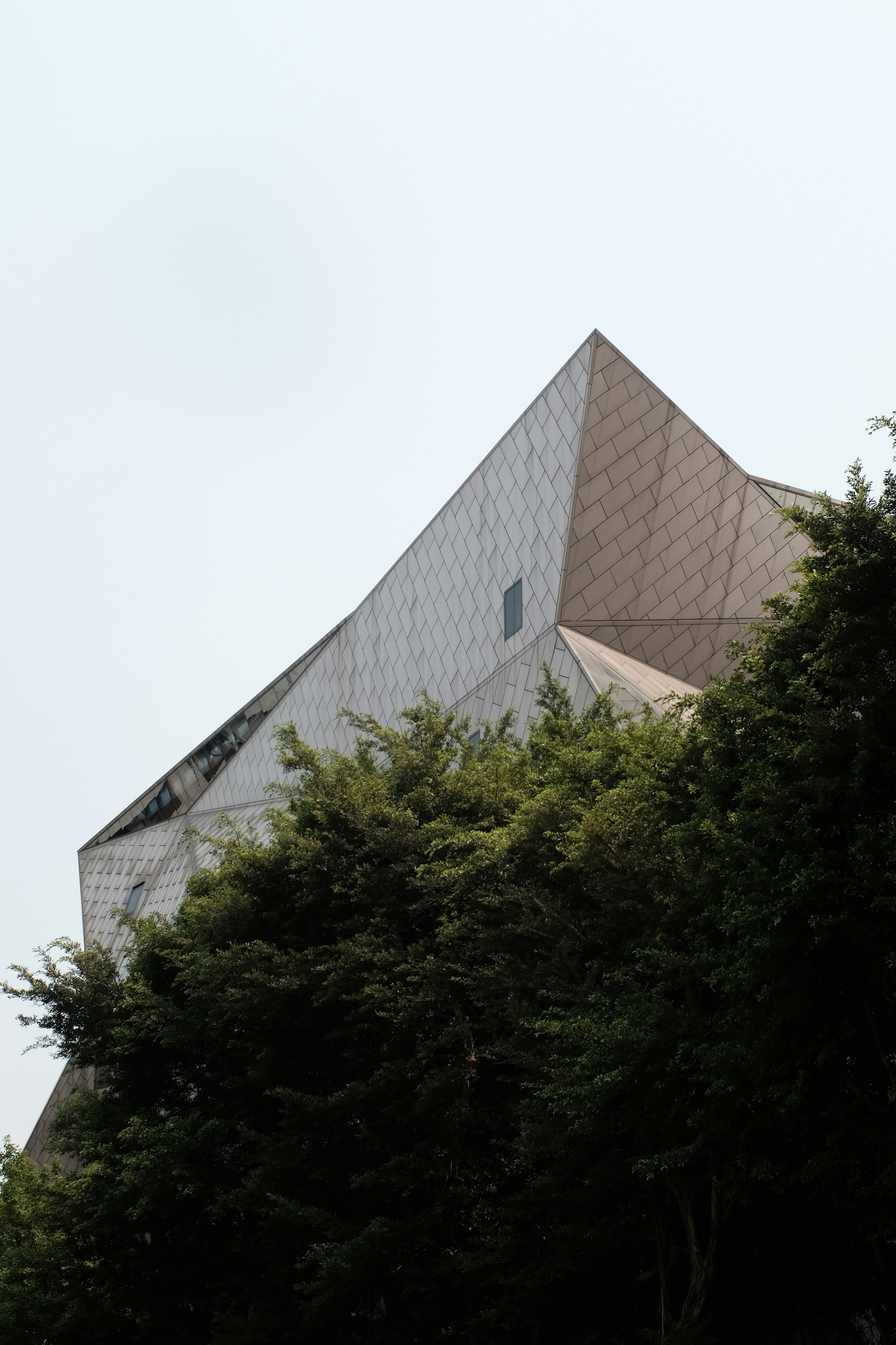 Triangular Facade Rises Above Green Canopy