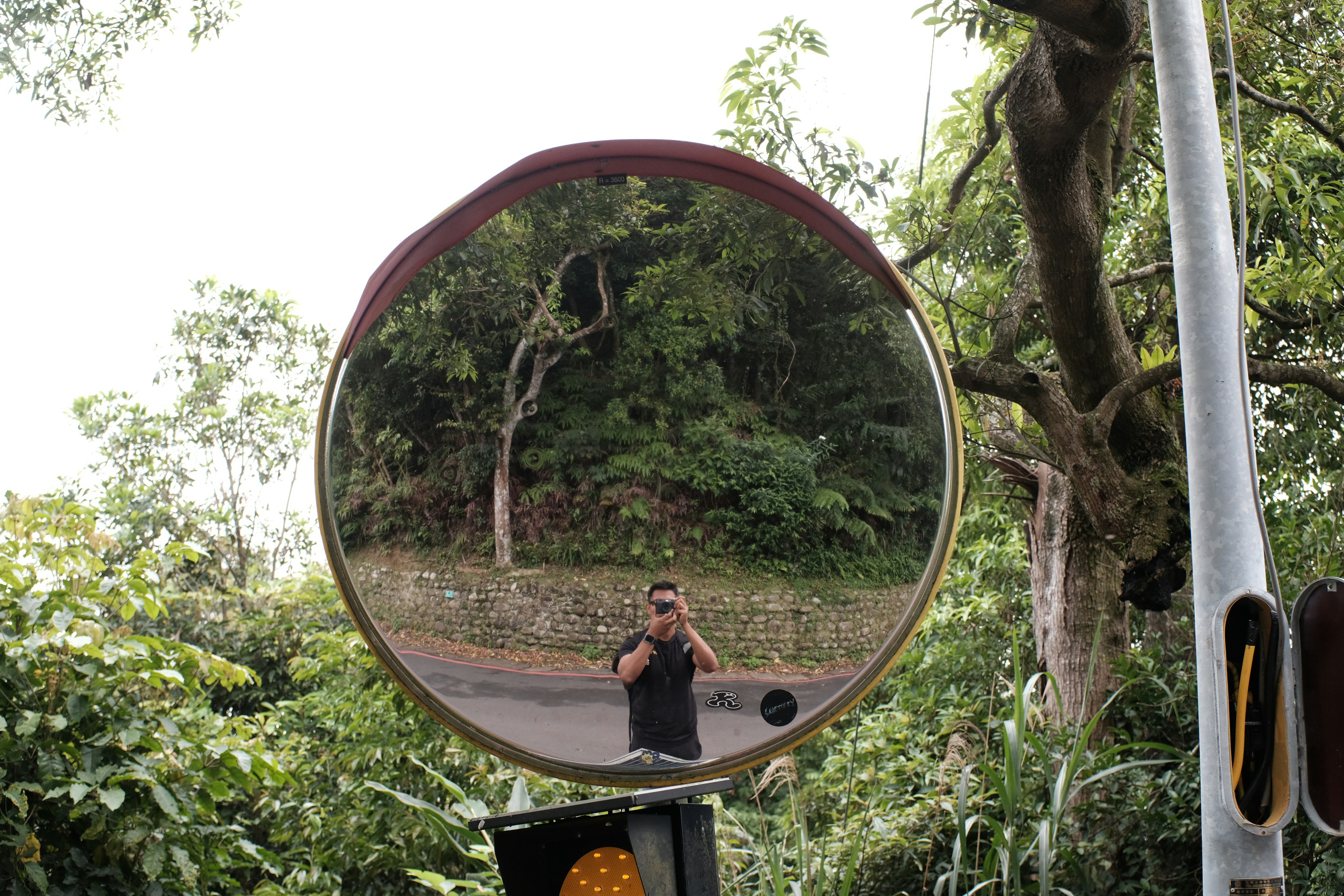 Circular View: A Gardener’s Mirror Reflecting a Quiet Path