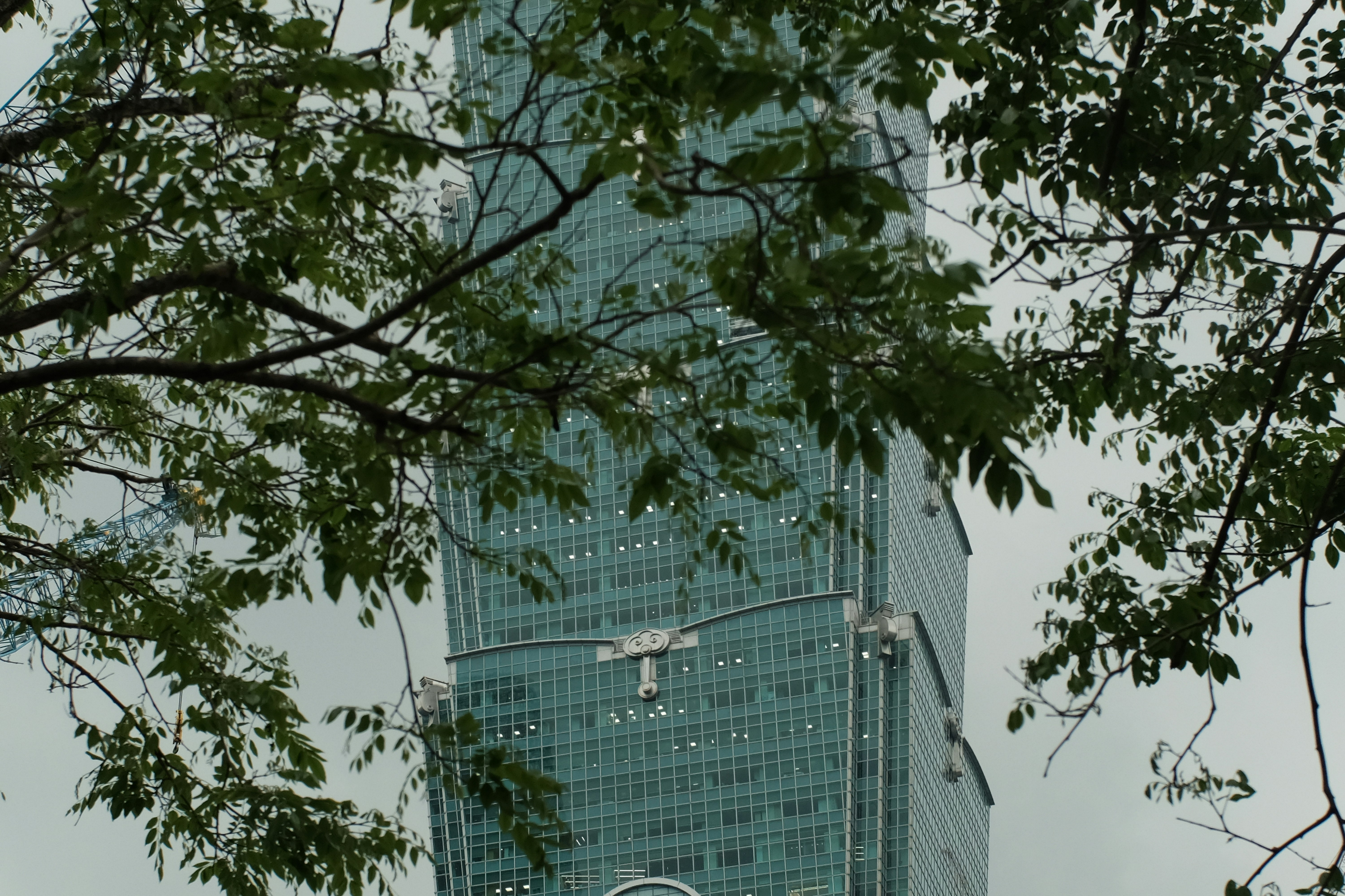 Urban Crown: A Tower Reaching Through Canopy