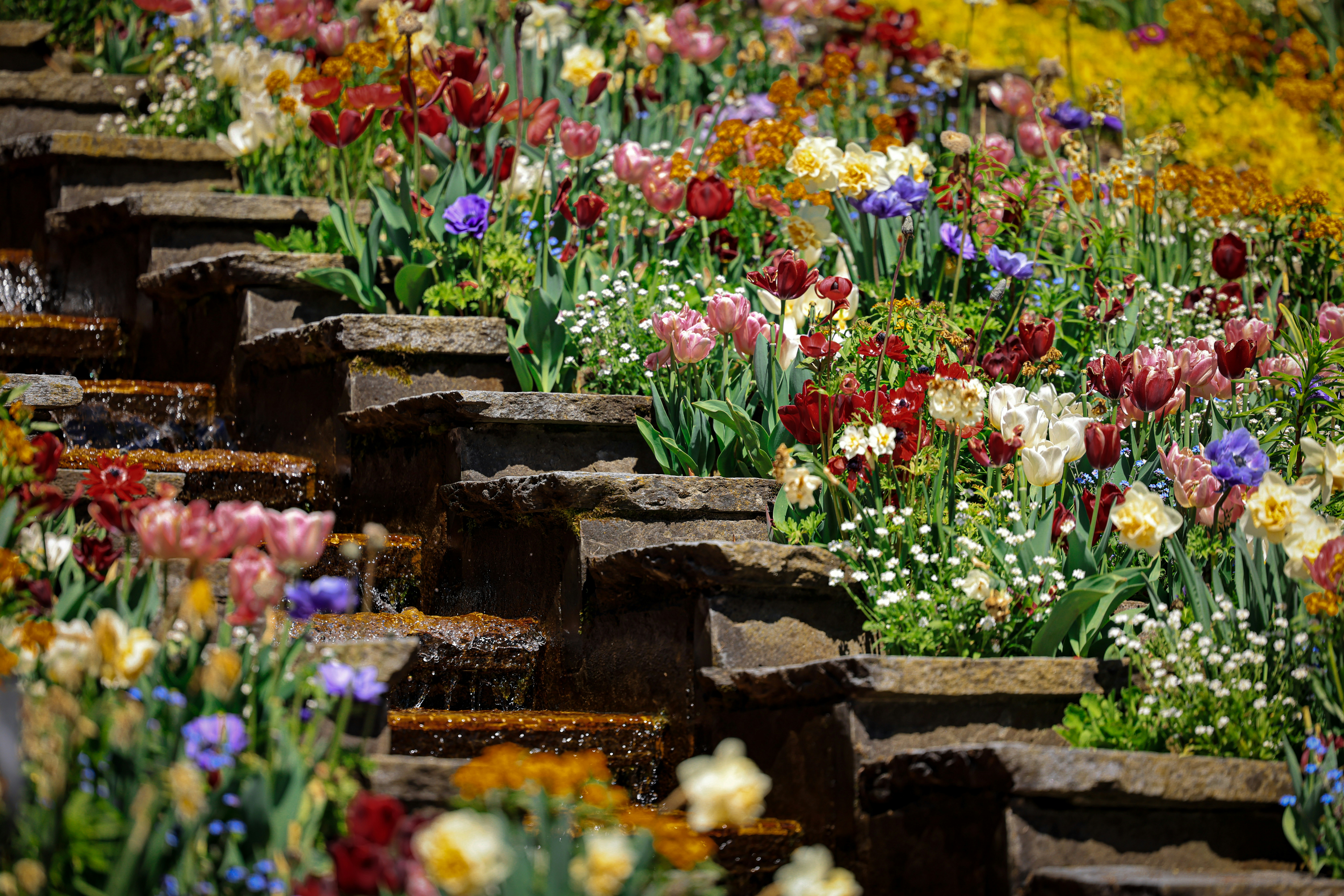 Terraced Bloom Cascade