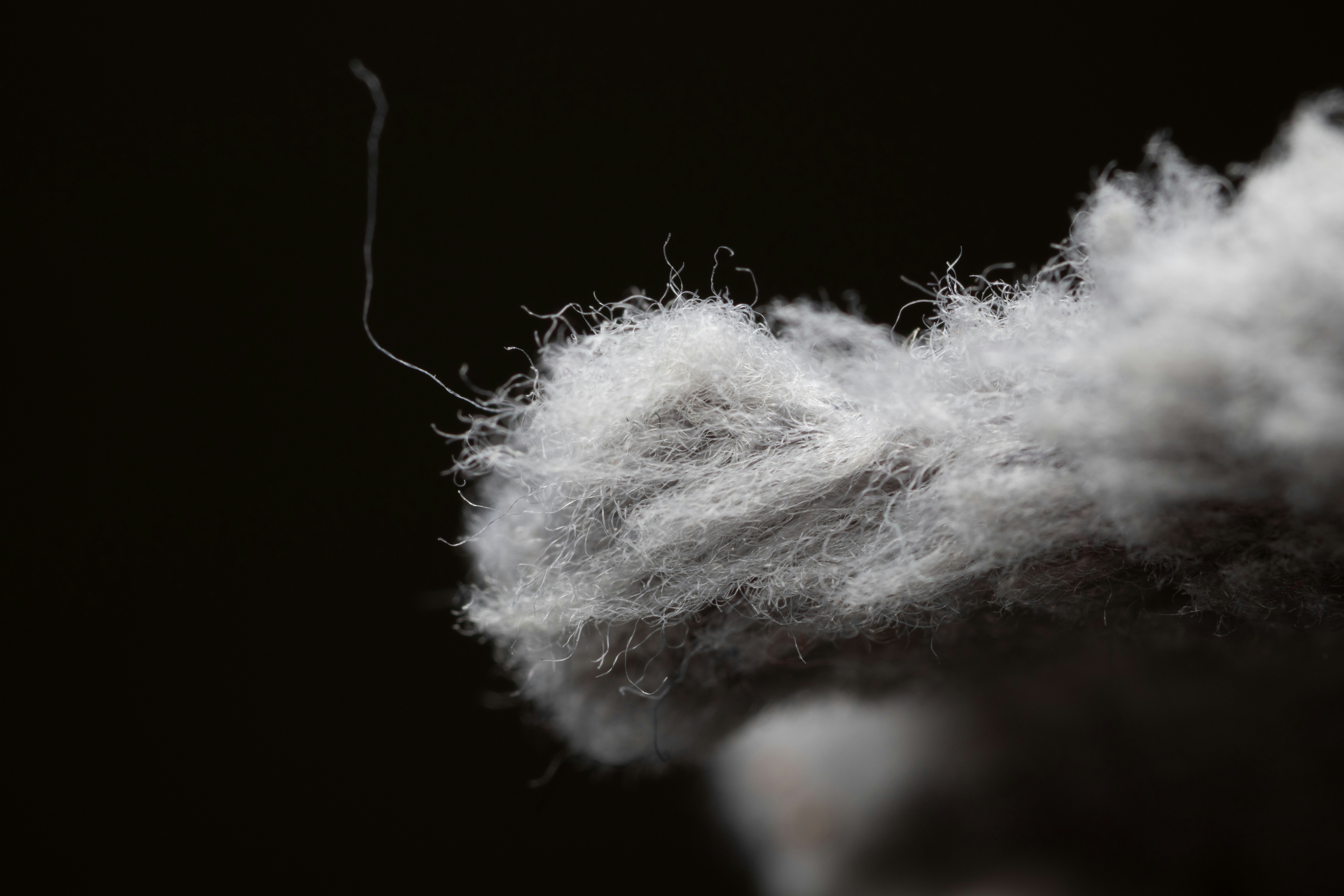 Whisper of Fiber: A Macro Trace of Wool Fibers in Shadow