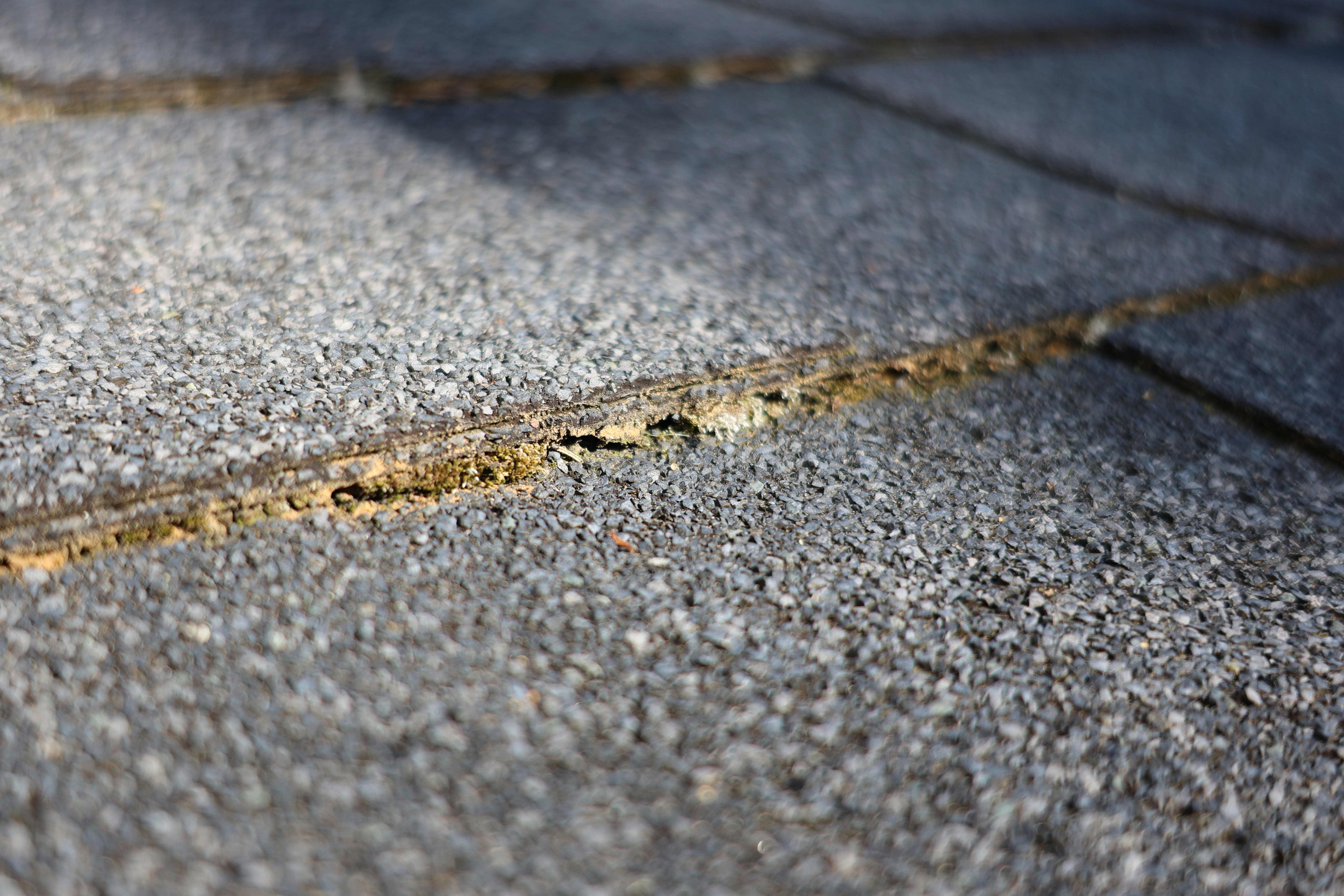 Cracked Pavement Janus: a macro glimpse into a weathered path