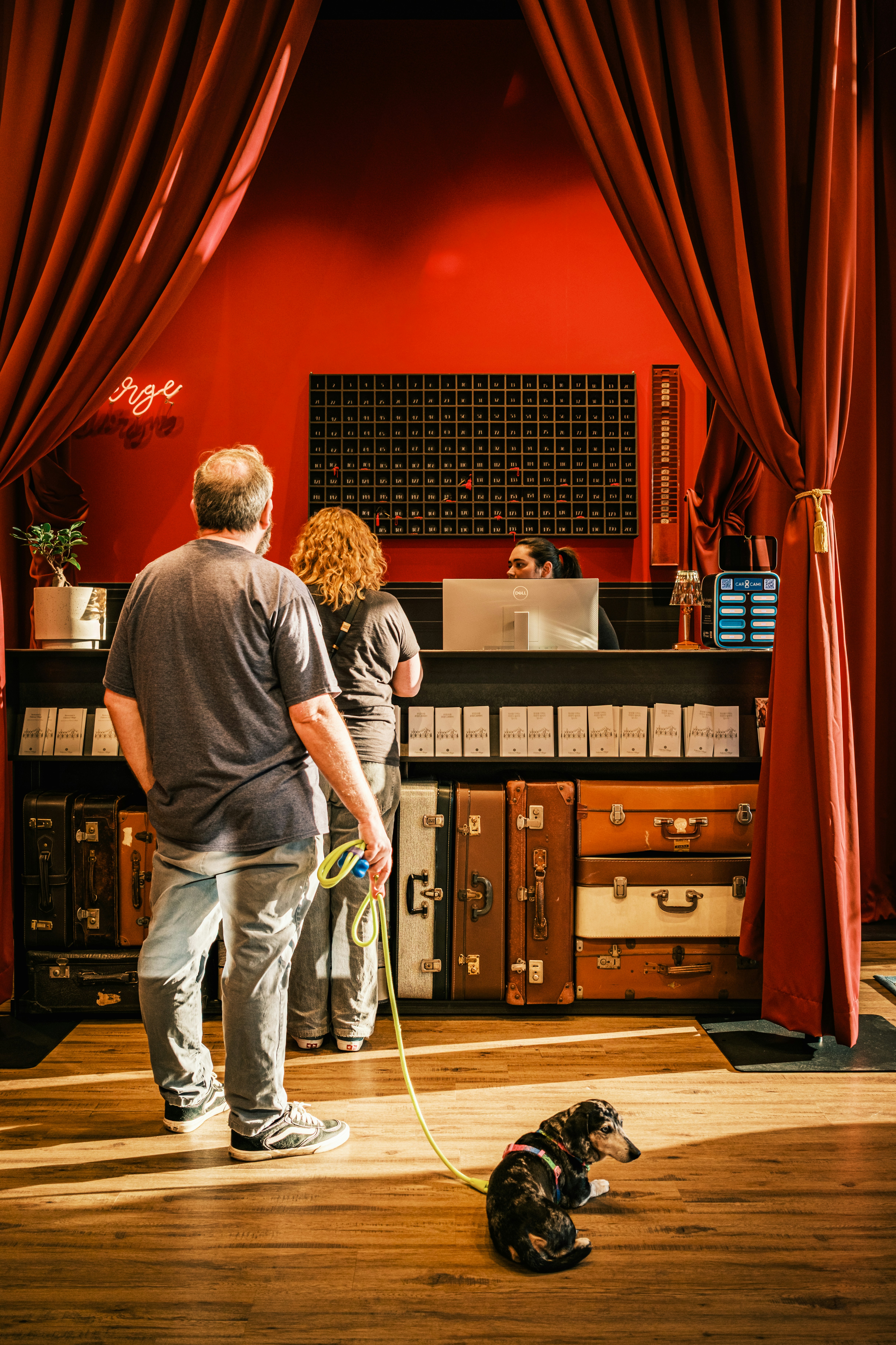 Behind the Curtain: A Red-Hued Reception Desk with a Leashed Dog in the Foreground