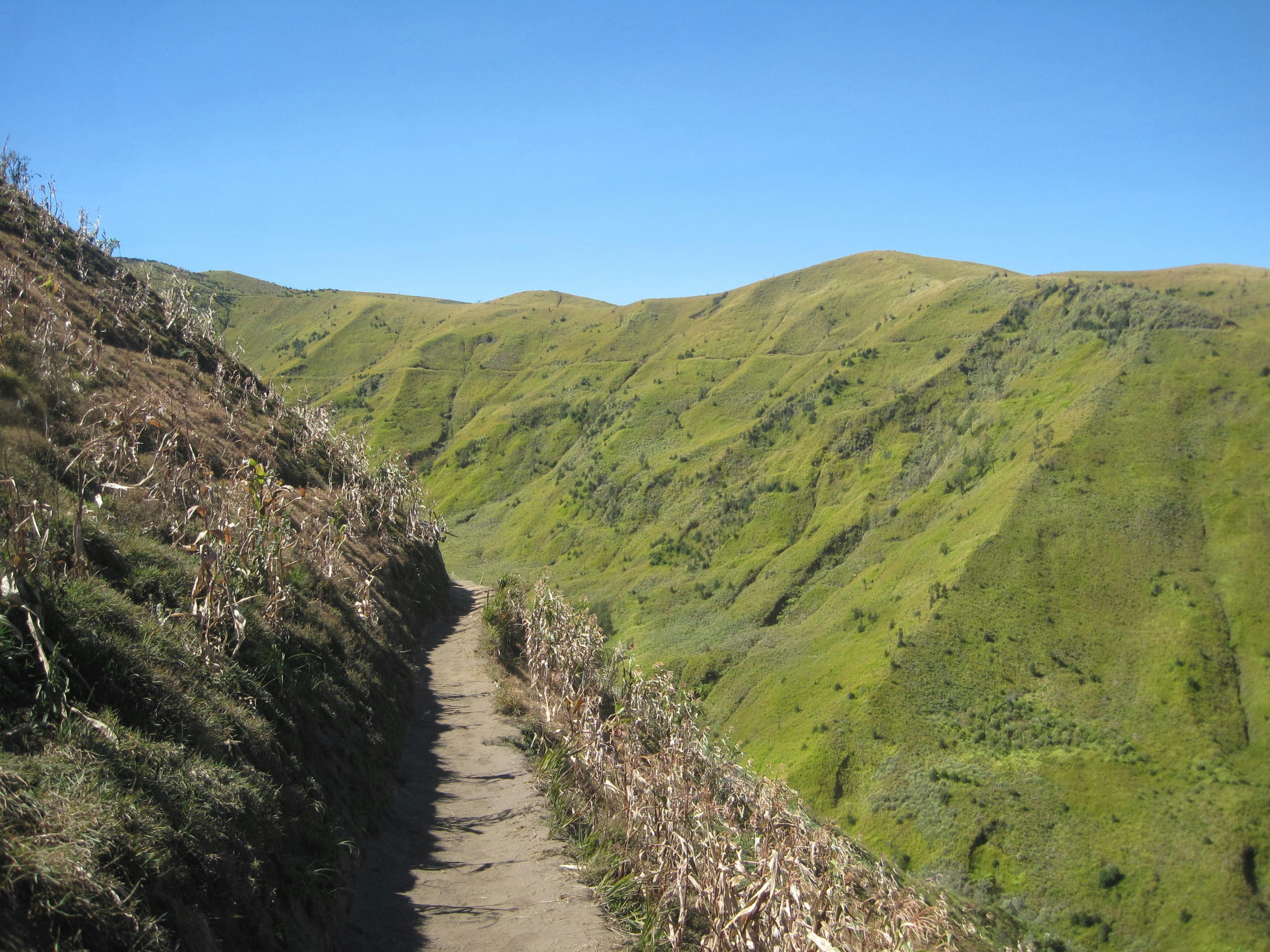 Trail Cut Through Emerald Hills