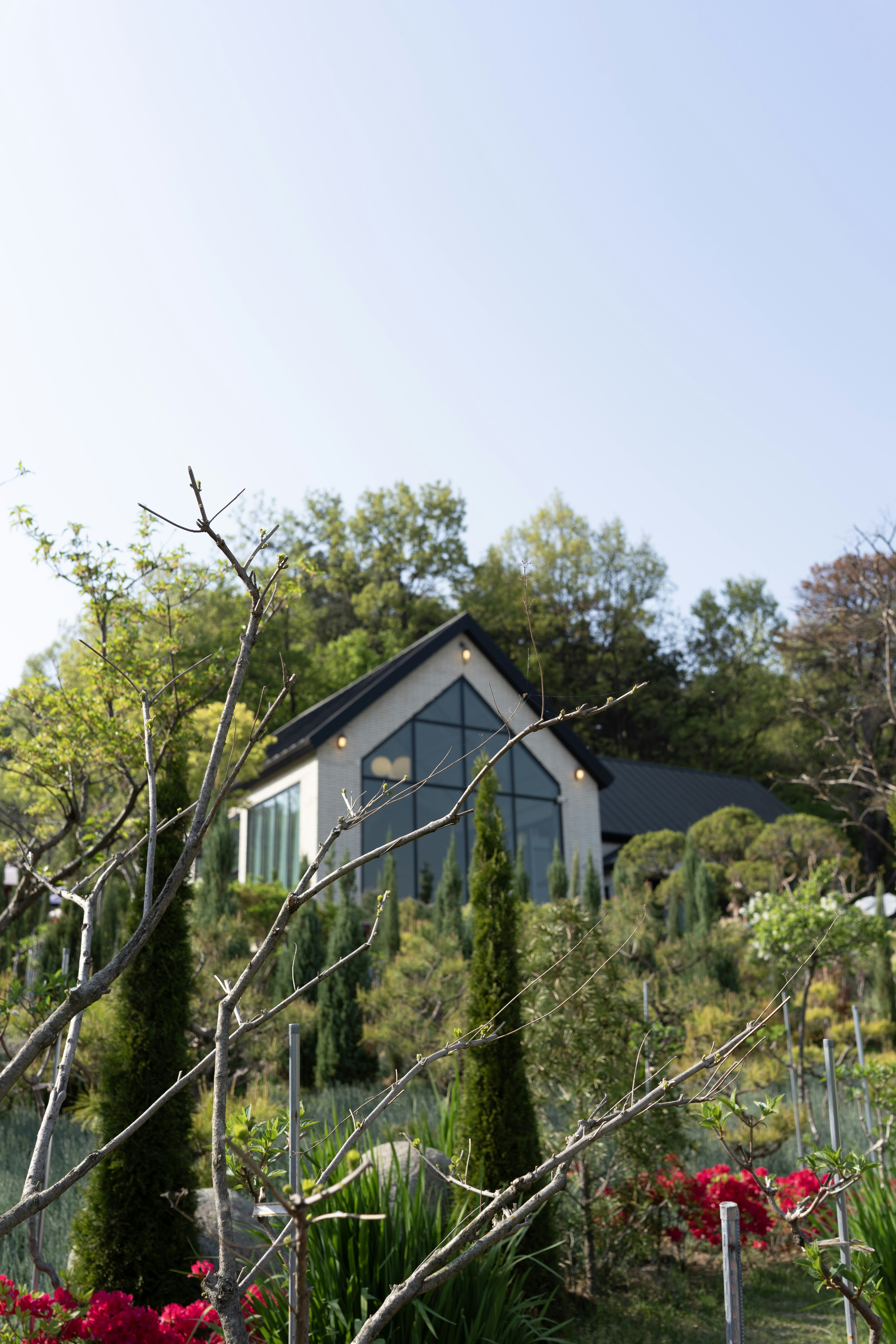 Modern A-frame Wake: Glass-Faced Home Amid a Sunny Garden