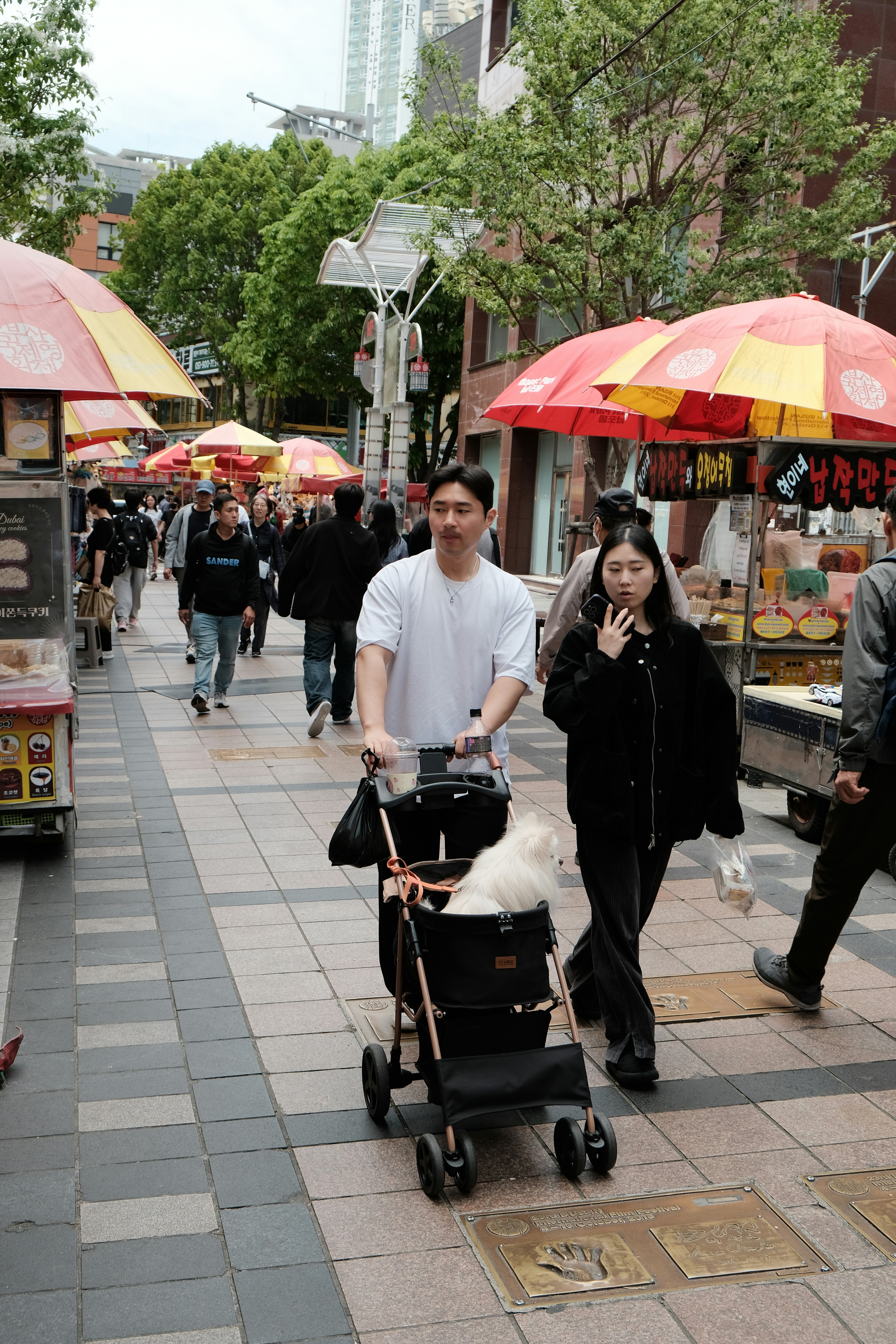 Couple walking with a dog stroller on a busy street