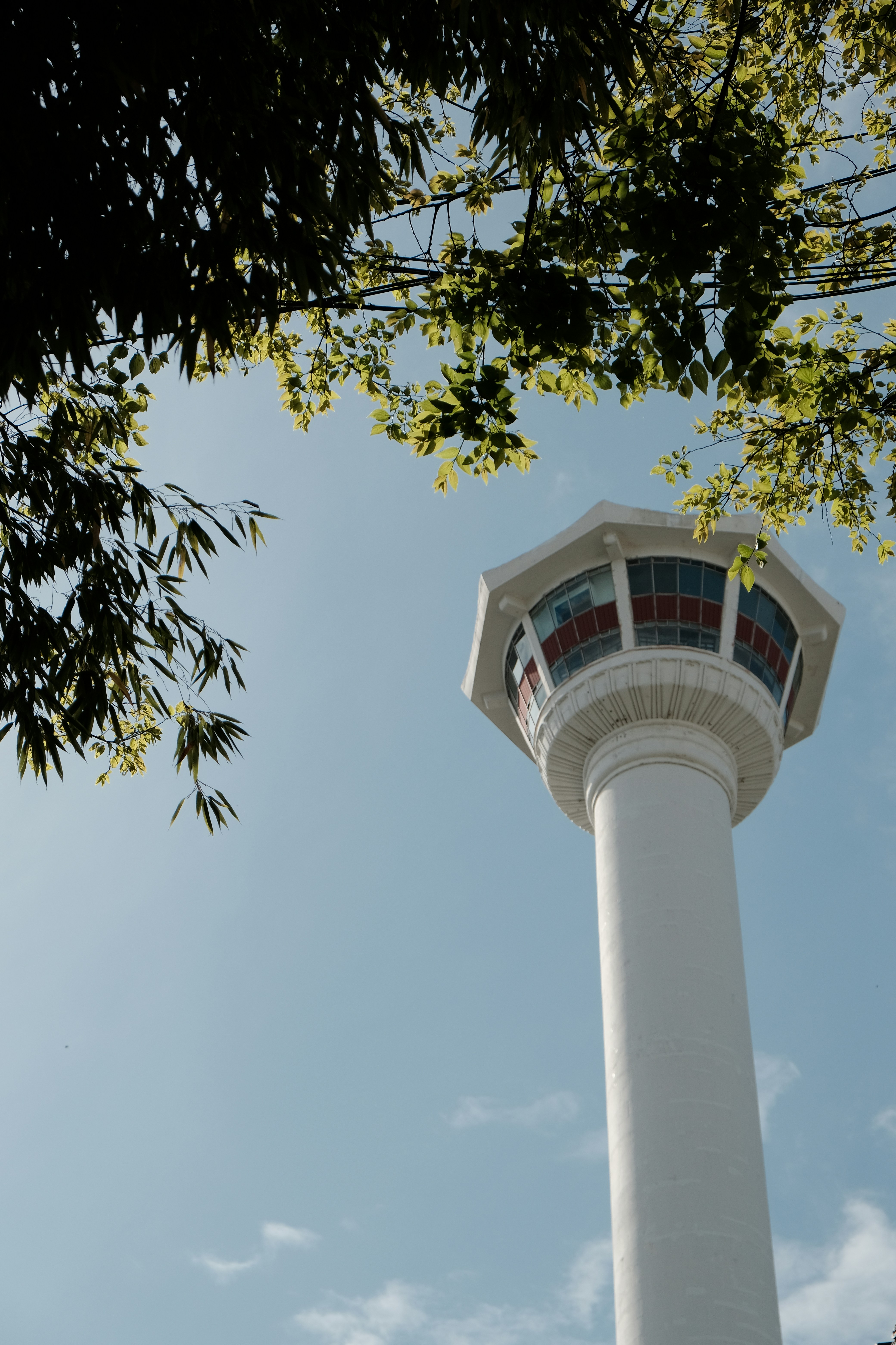 Skyward Beacon: A Tower Emerging Beneath Cresting Foliage