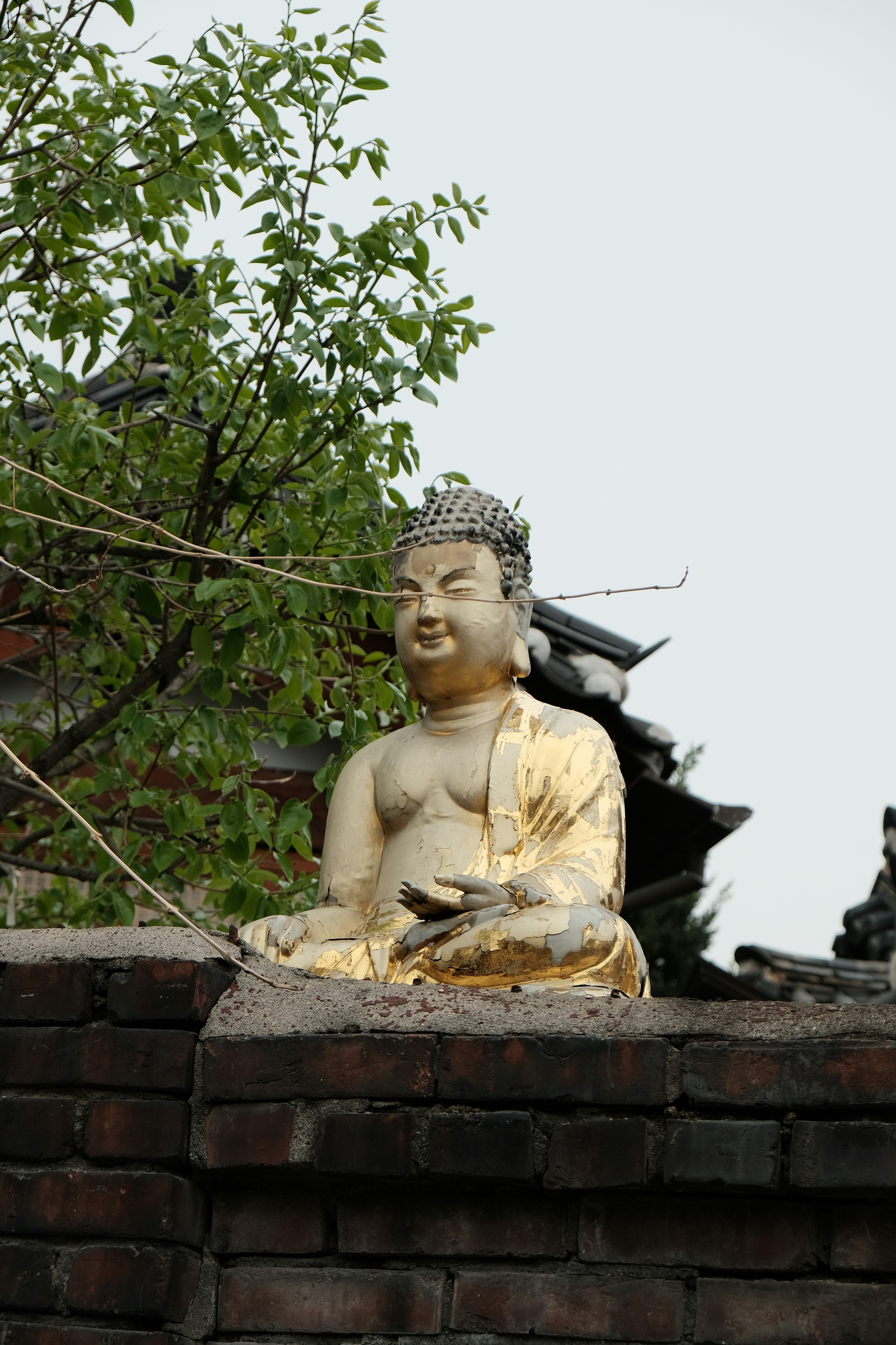 Golden Buddha Watchs Over the Brick Wall