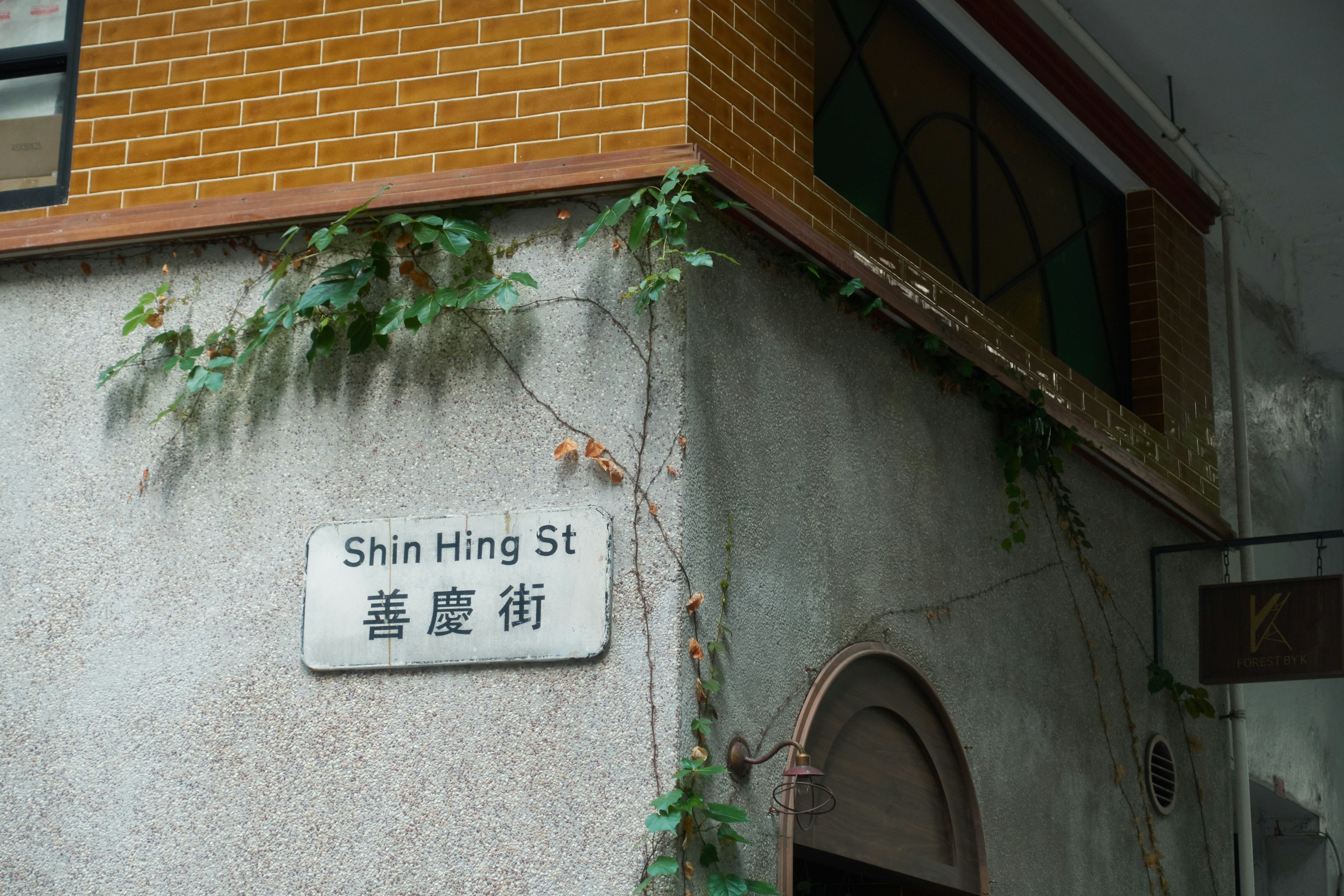A Quiet Corner: Street Sign and Ivy on a Textured Wall