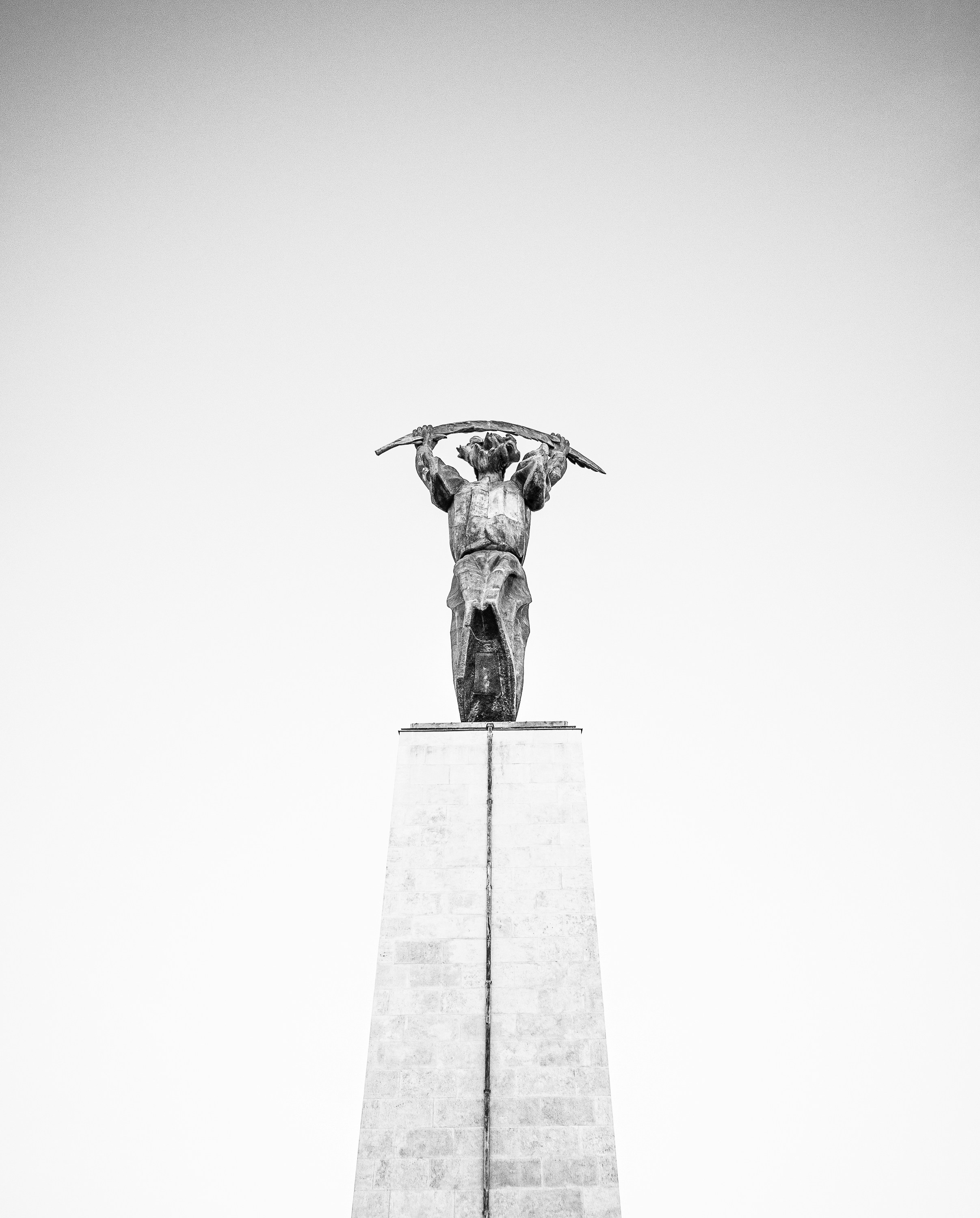Equestrian Triumph: A Monument Rising Above the Silence