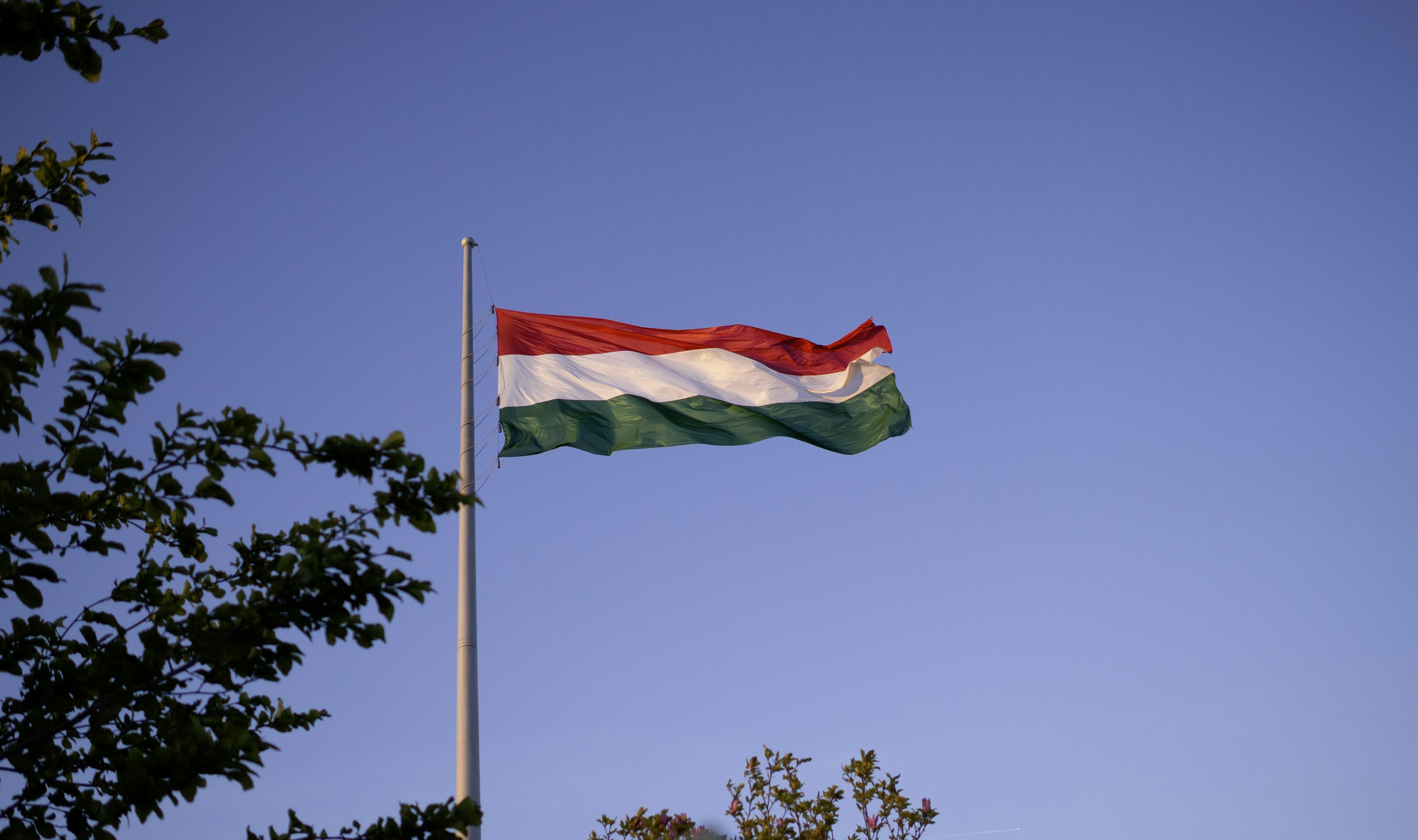 Flag on a Calm Sky: Hungarian Tricolor Afloat