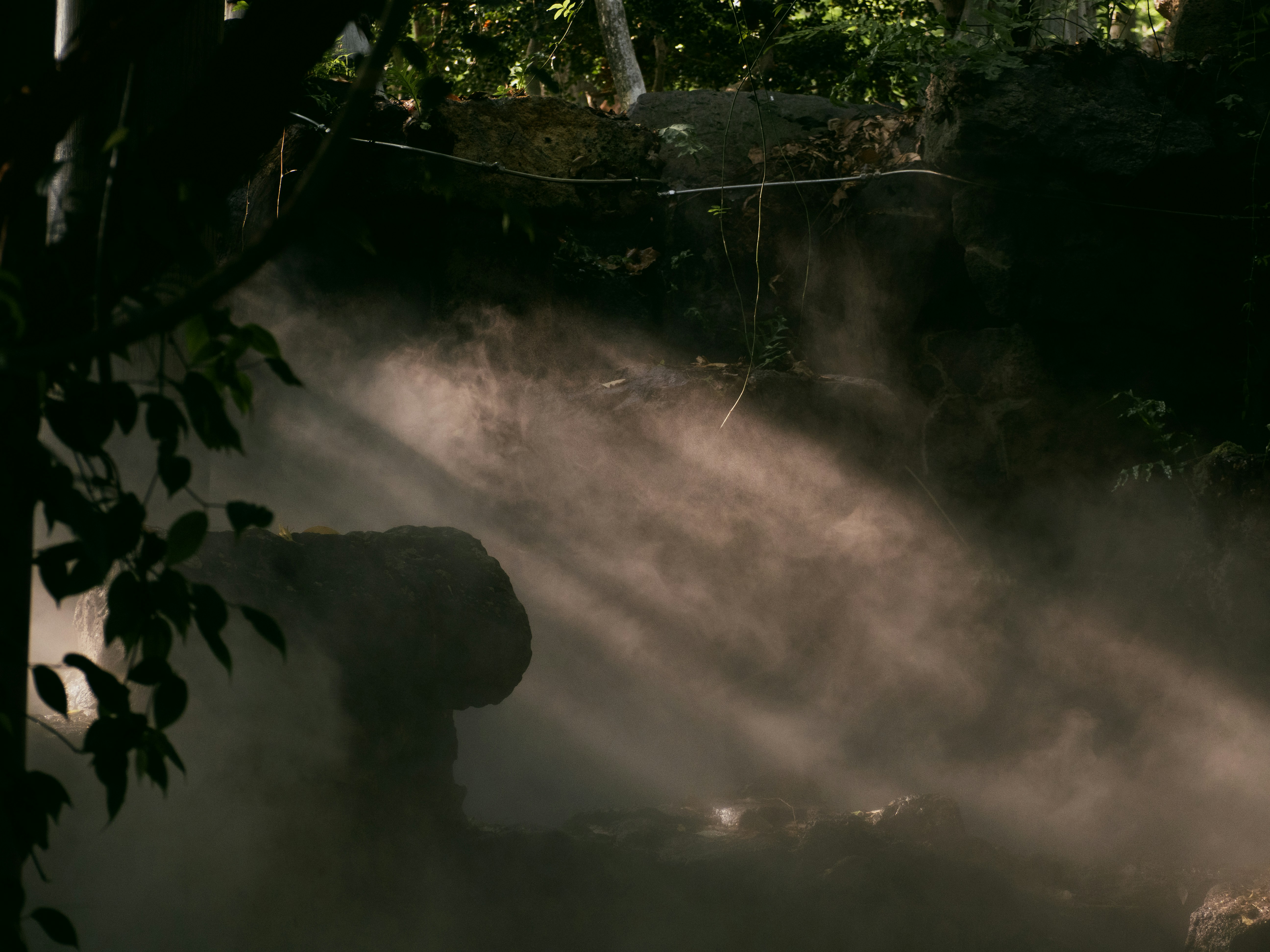Mist over the dark gorge: a solitary beam threads through the canopy