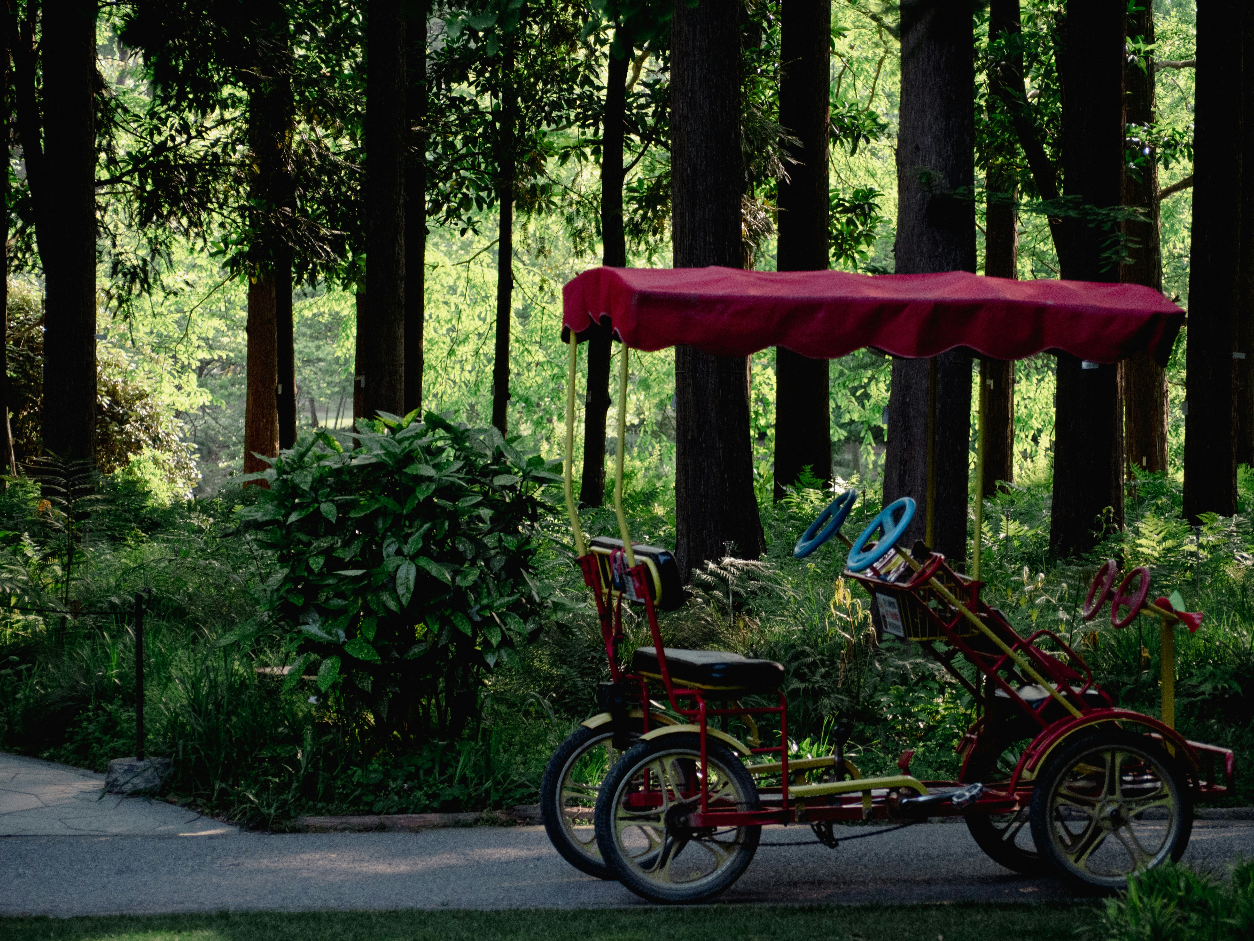 Red Pedal Cart Under a Forest Canopy