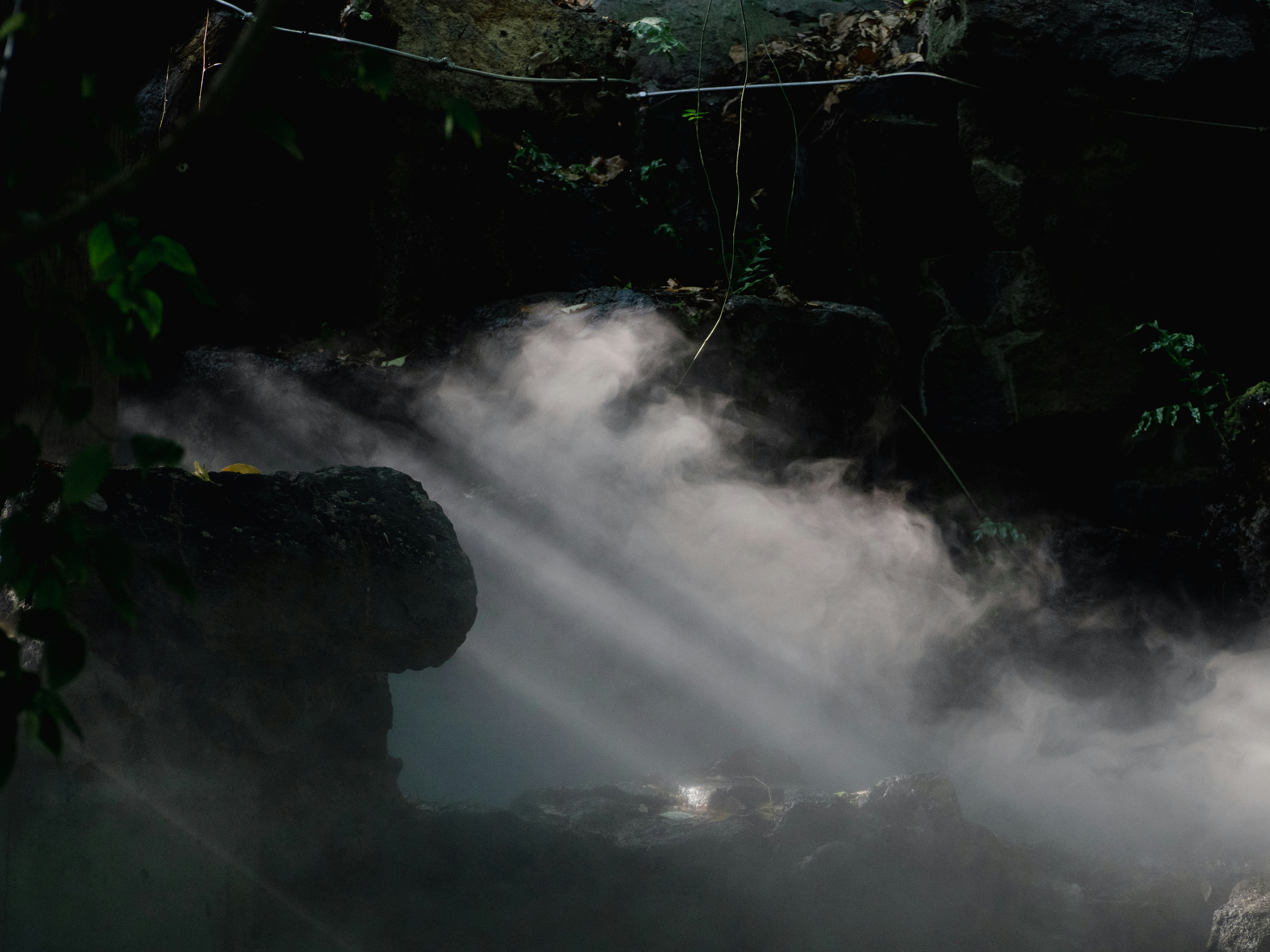 Mist Veil Over Darkened Ravine