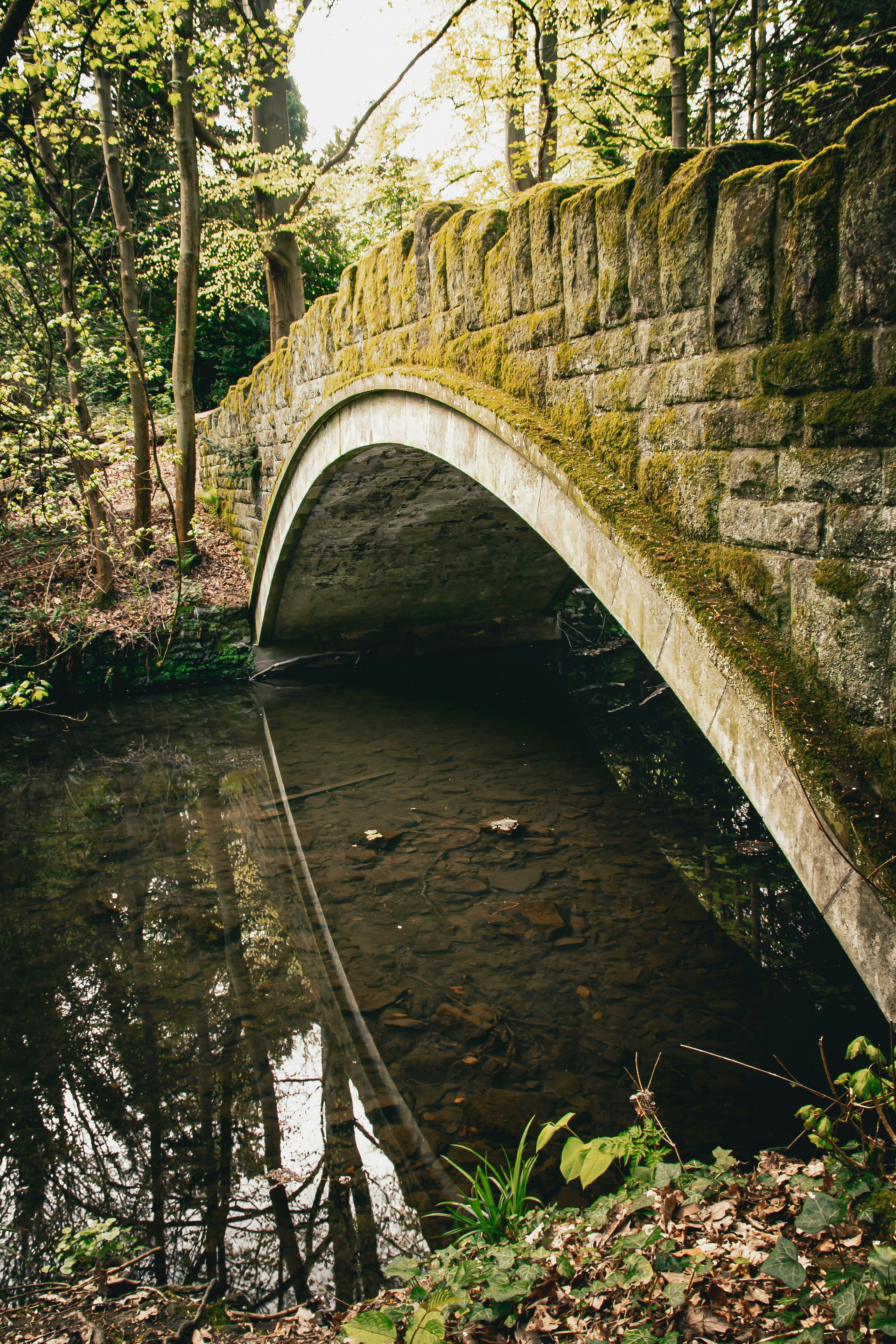  Mossed Stone Bridge Arcing Over Quiet Water