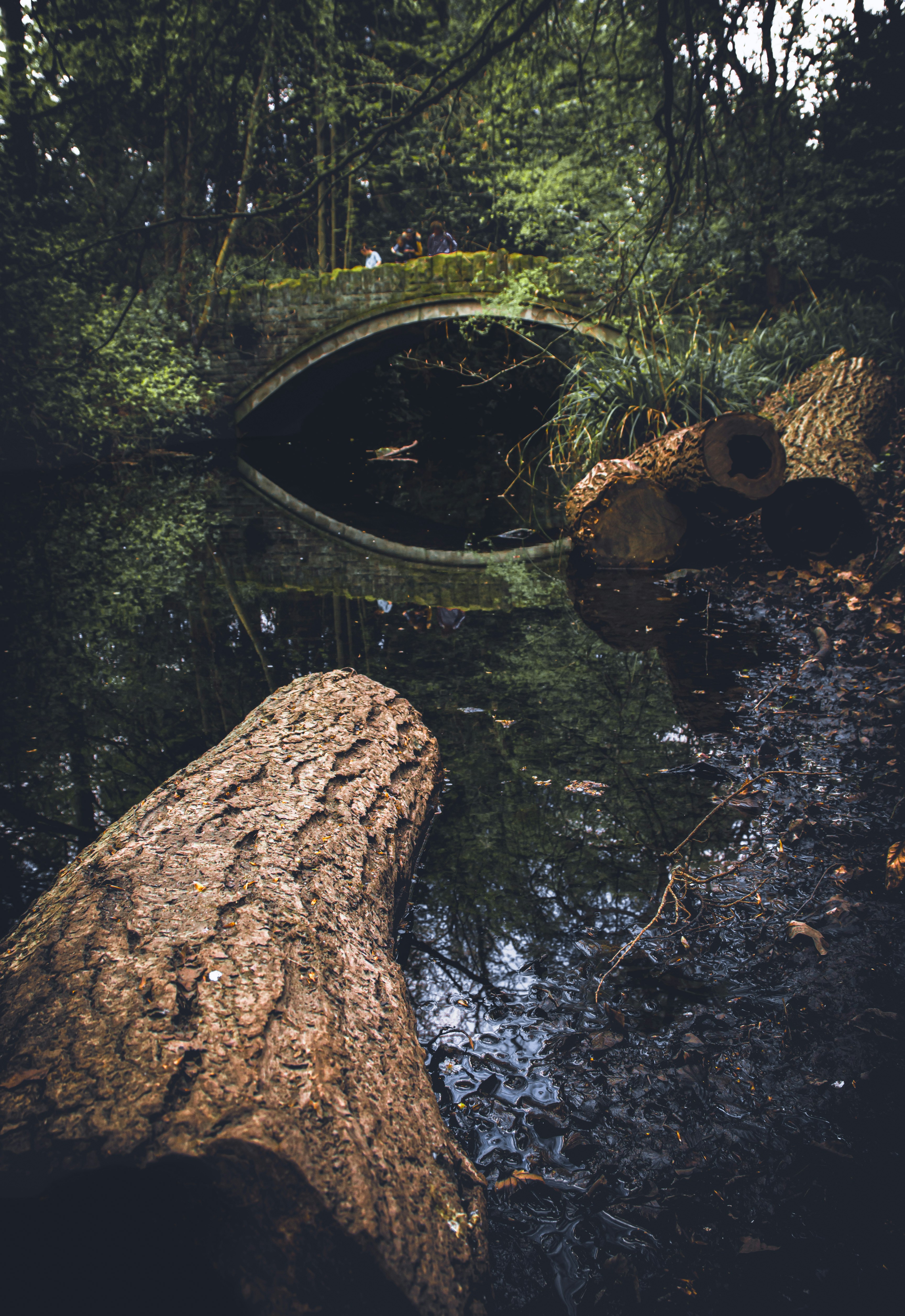 Whispering Bridge Over Still Waters