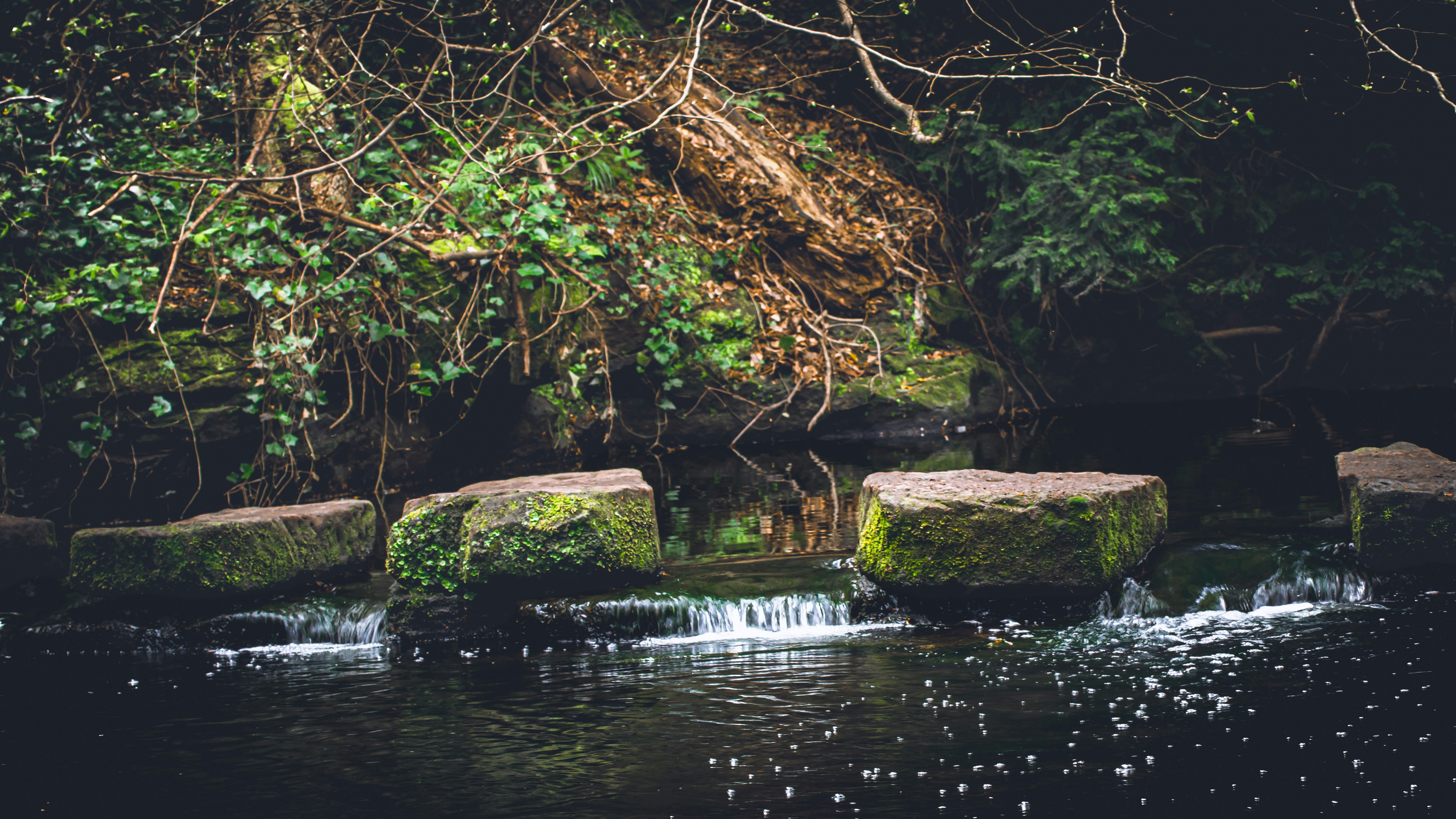 Moss-Clad Steps Crossing a Quiet River