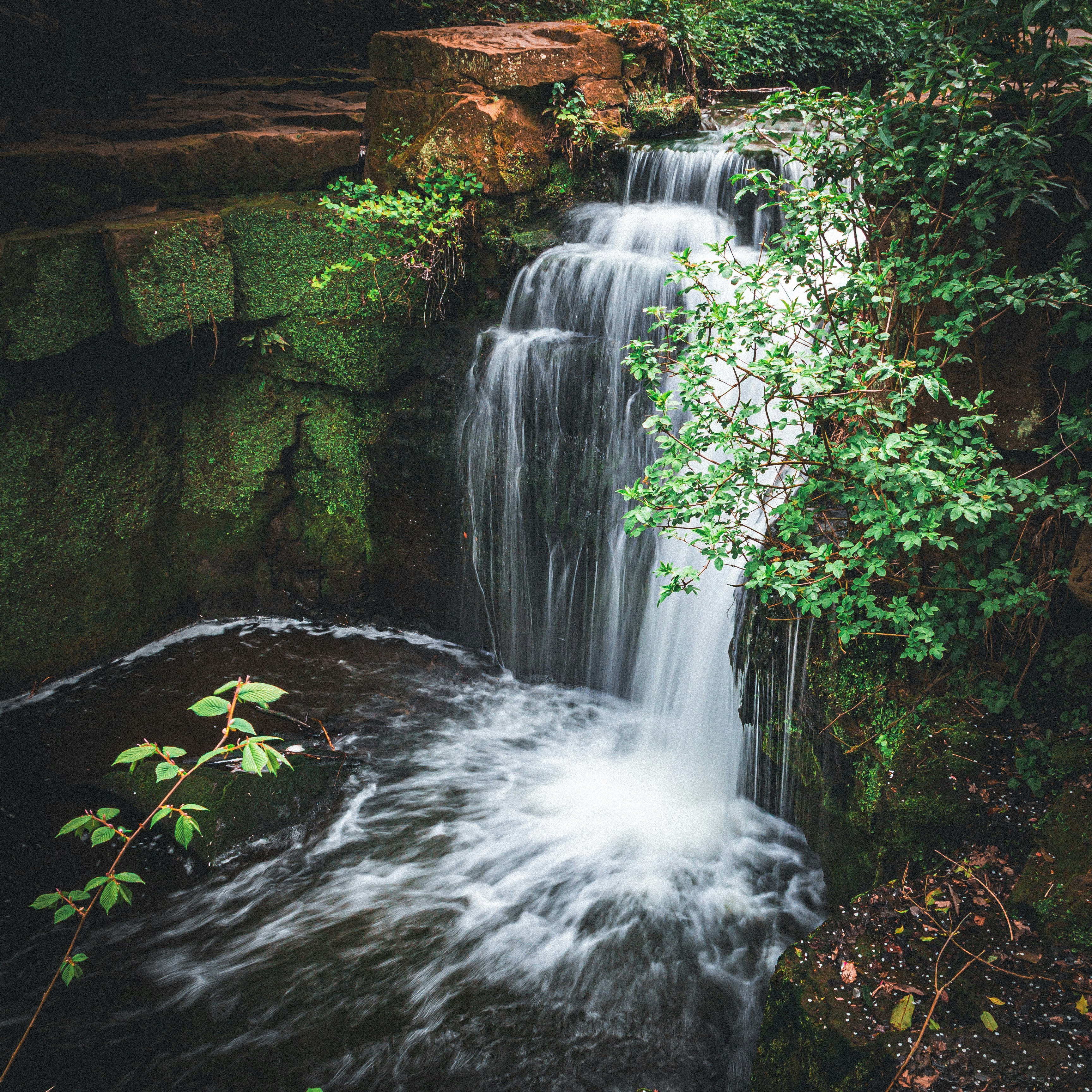 Mossy Cascade at the Edge of the Quiet Pool
