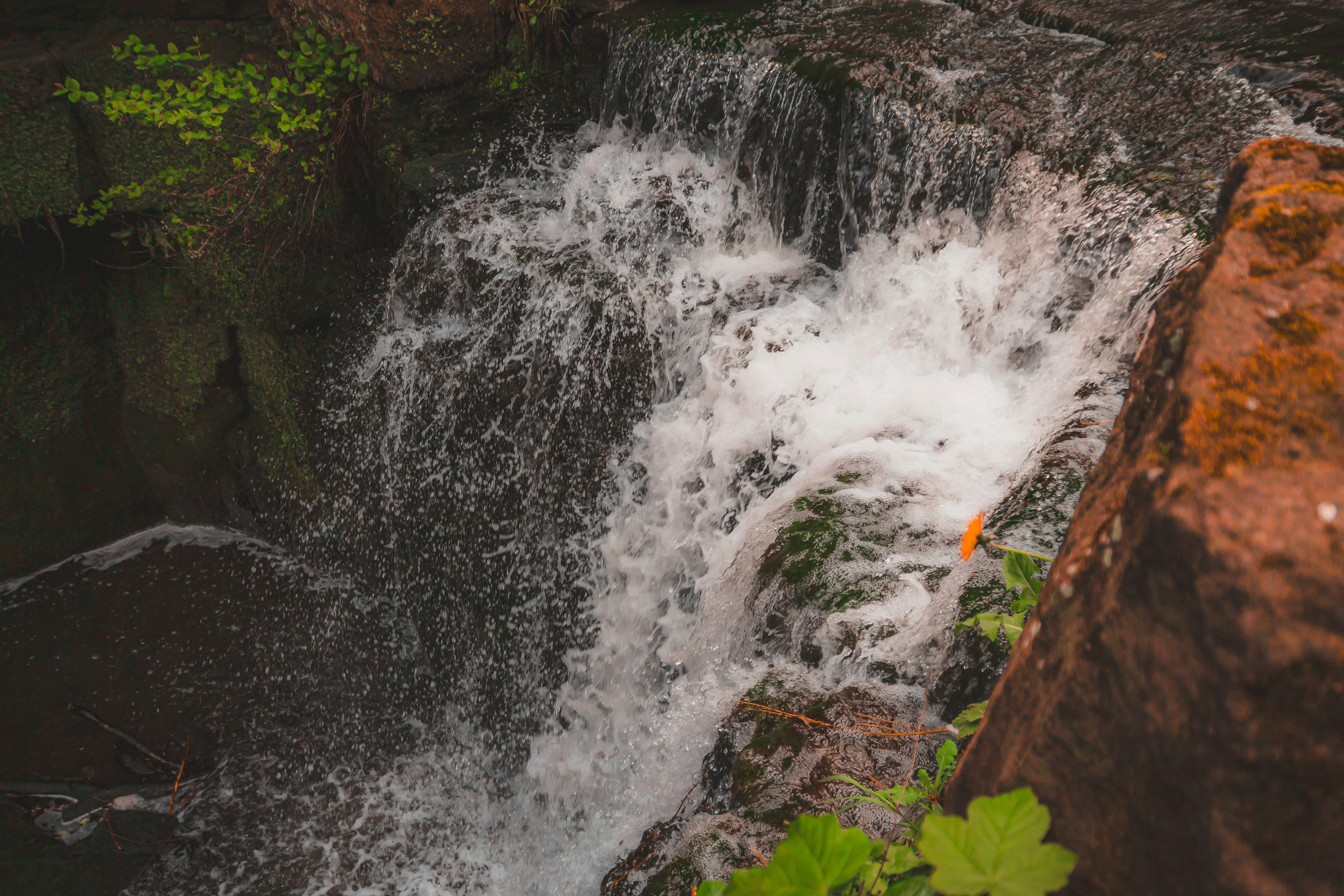 Rim of the Cascade: A Narrow View into the Falls