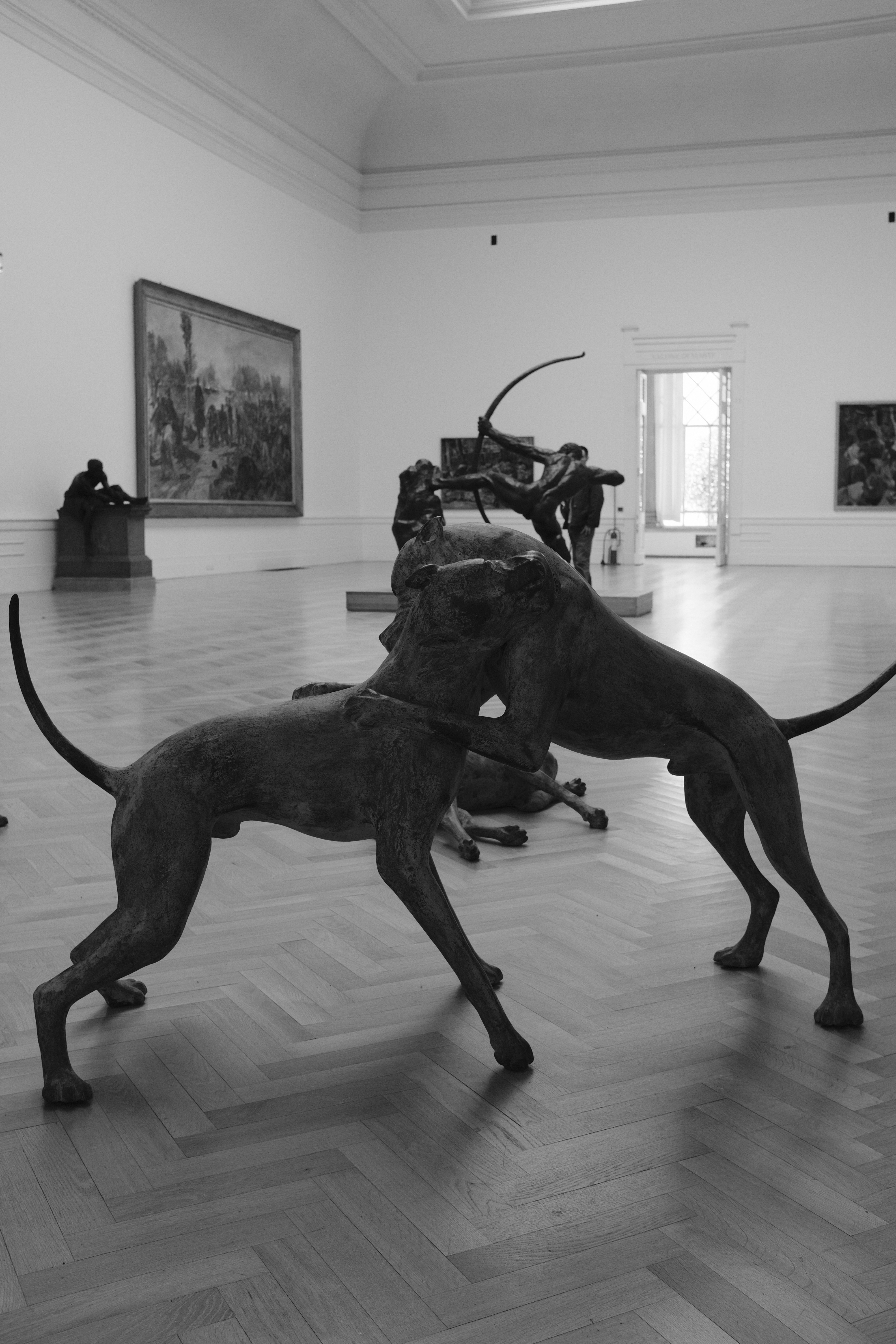 Tension in the Gallery: A Pair of Striking Sable Hounds in Combat