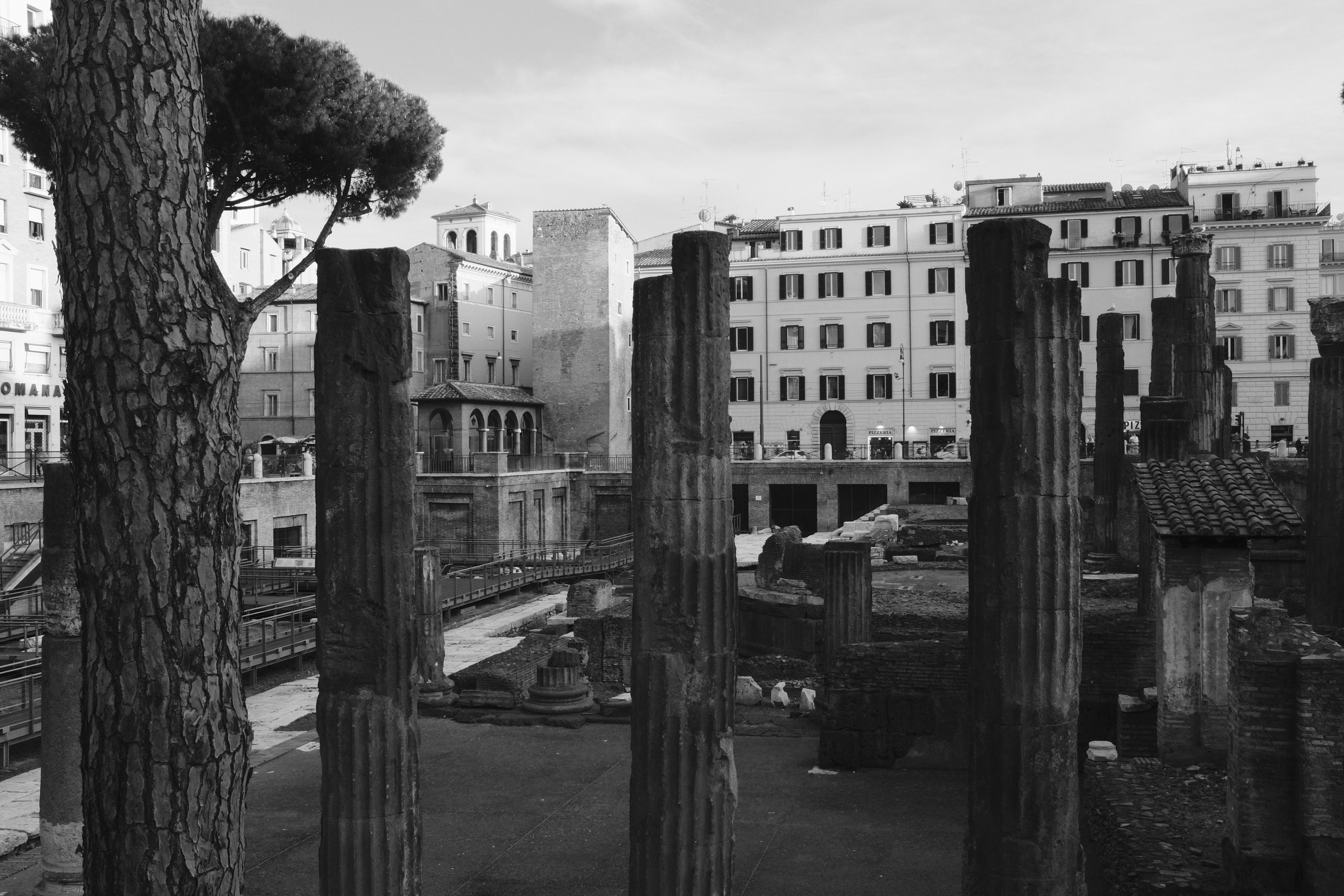 Ruins and Row Houses: A Quiet Roman Rooftop Between Columns