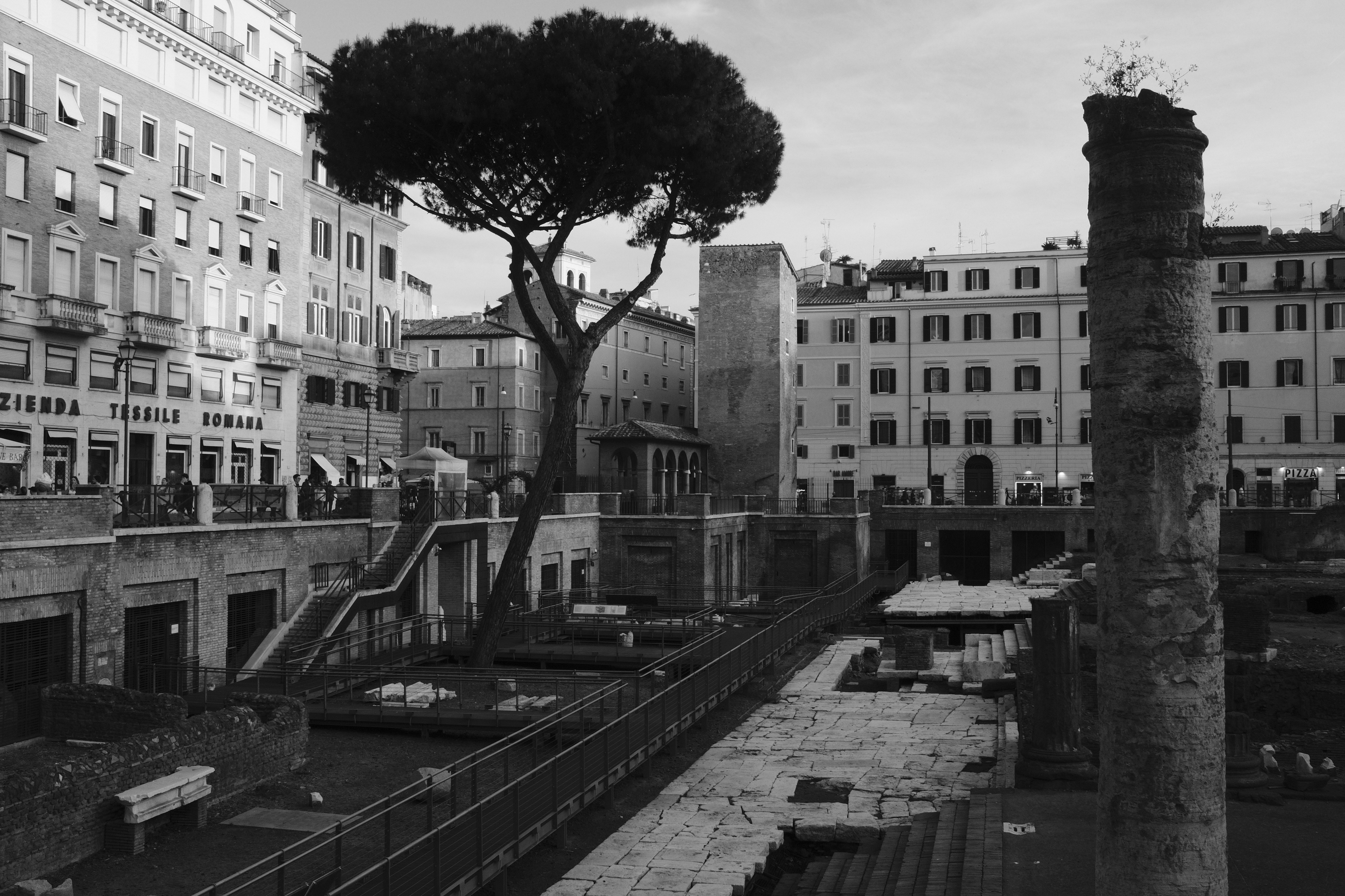 Ancient Columns Meet a City’s Quiet Edge
