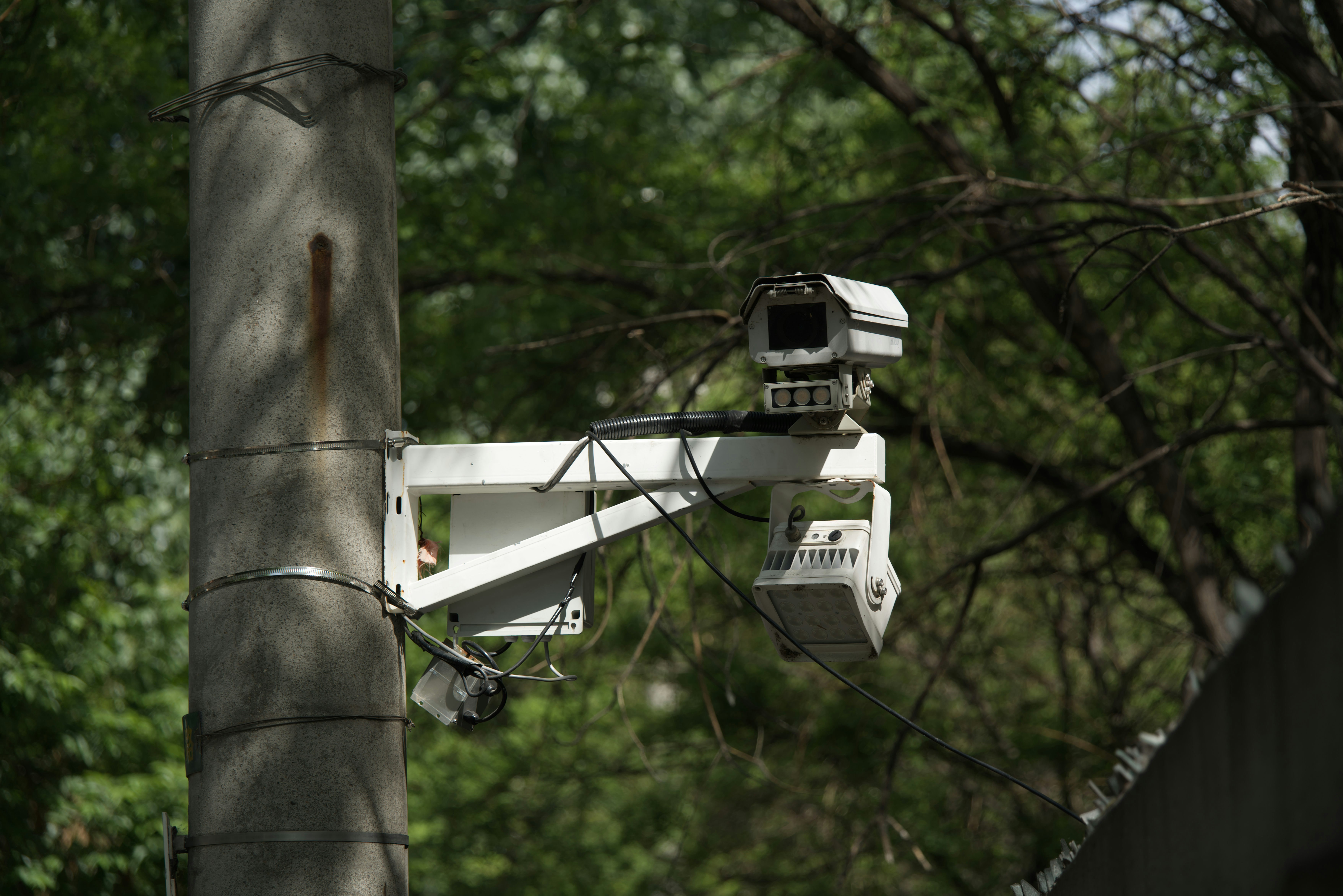 Elevated Sentinel: A Security Camera Bracket Bracing the Trees