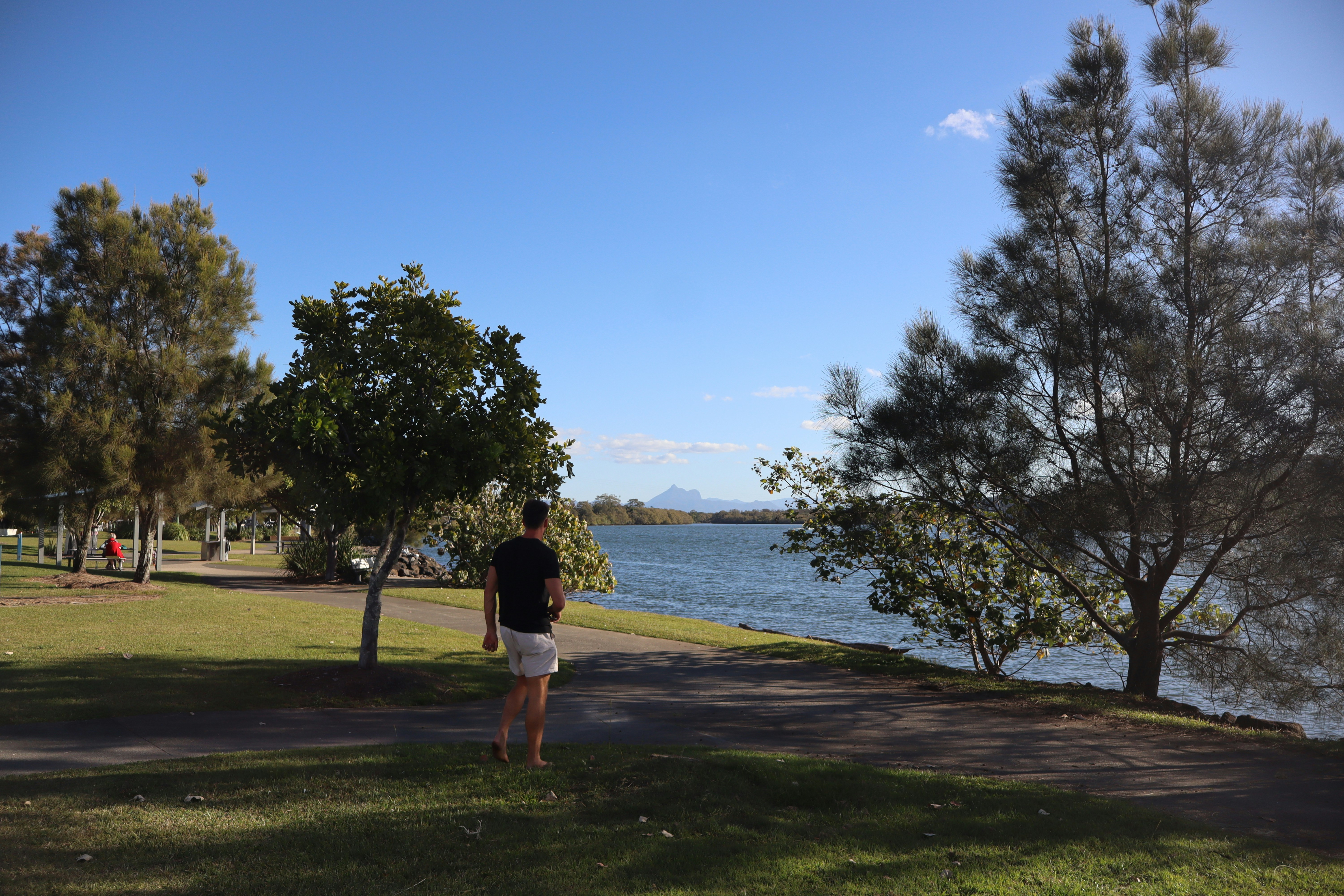 Lakeside Stroll: A Quiet Moment by the Water