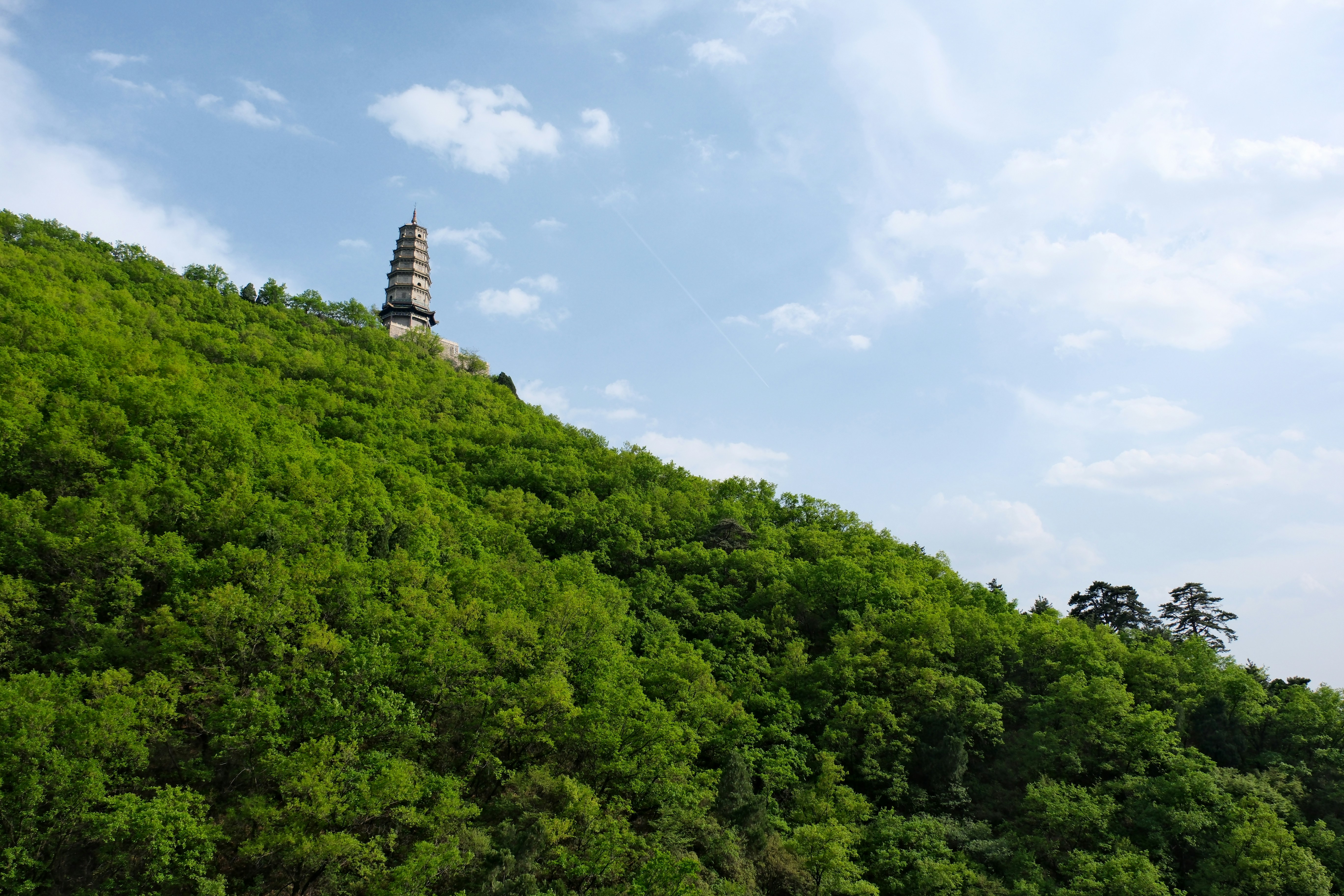 Hilltop Shrine Rising Above the Forest Canopy