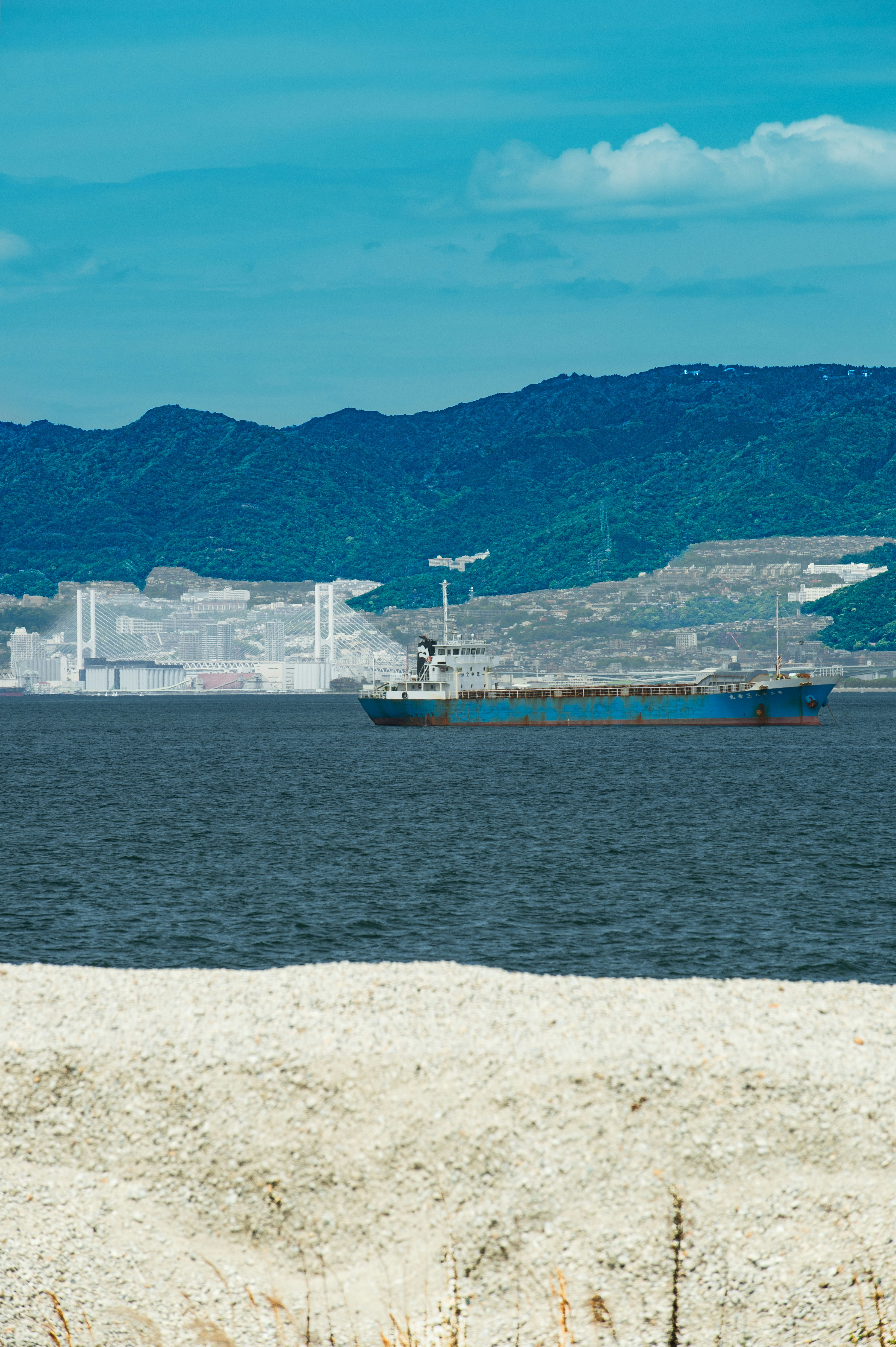 Rusting freighter gliding over quiet harbor, with distant city and hills