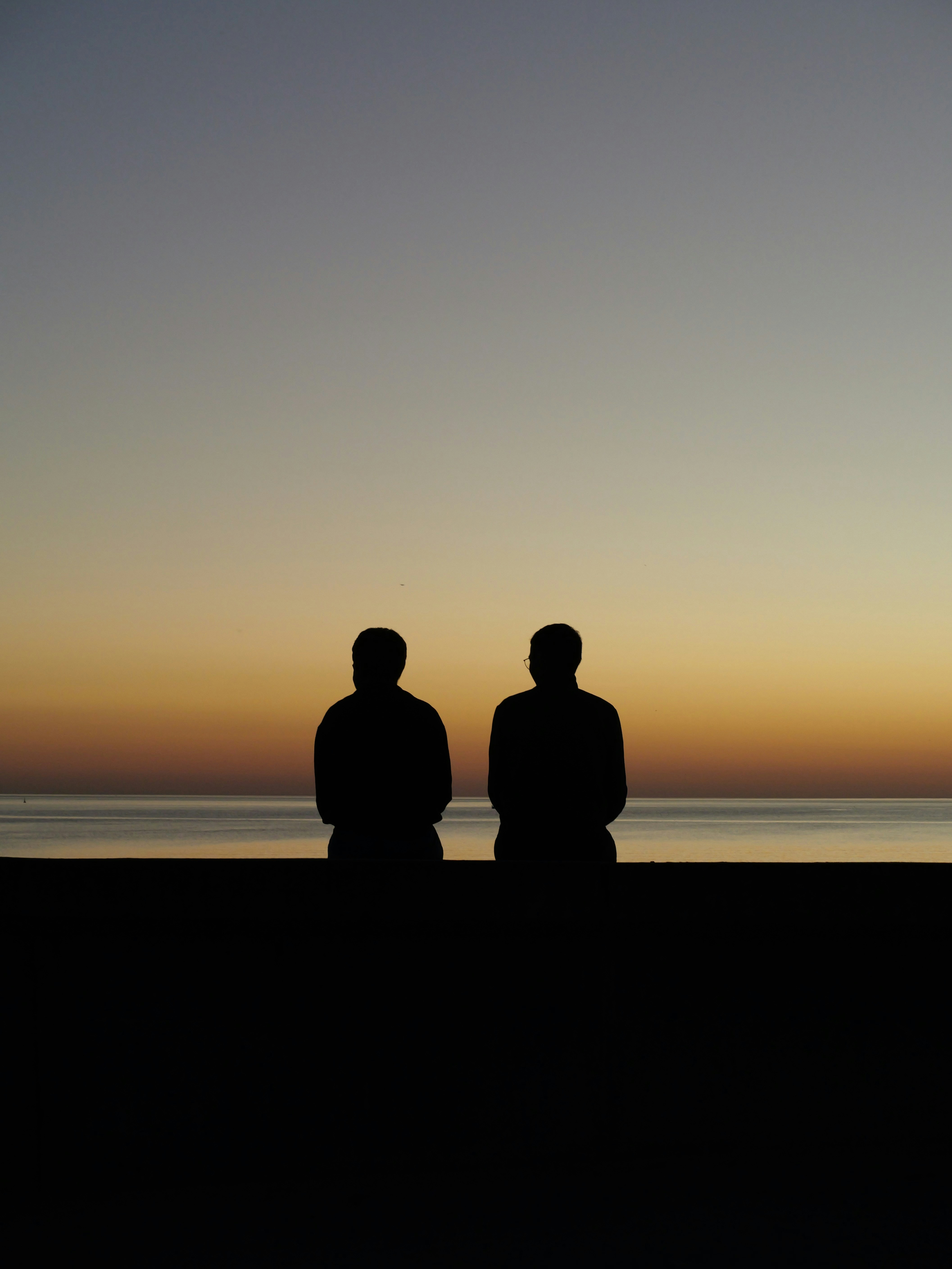 Silhouetted Companions at Sunset by the Sea