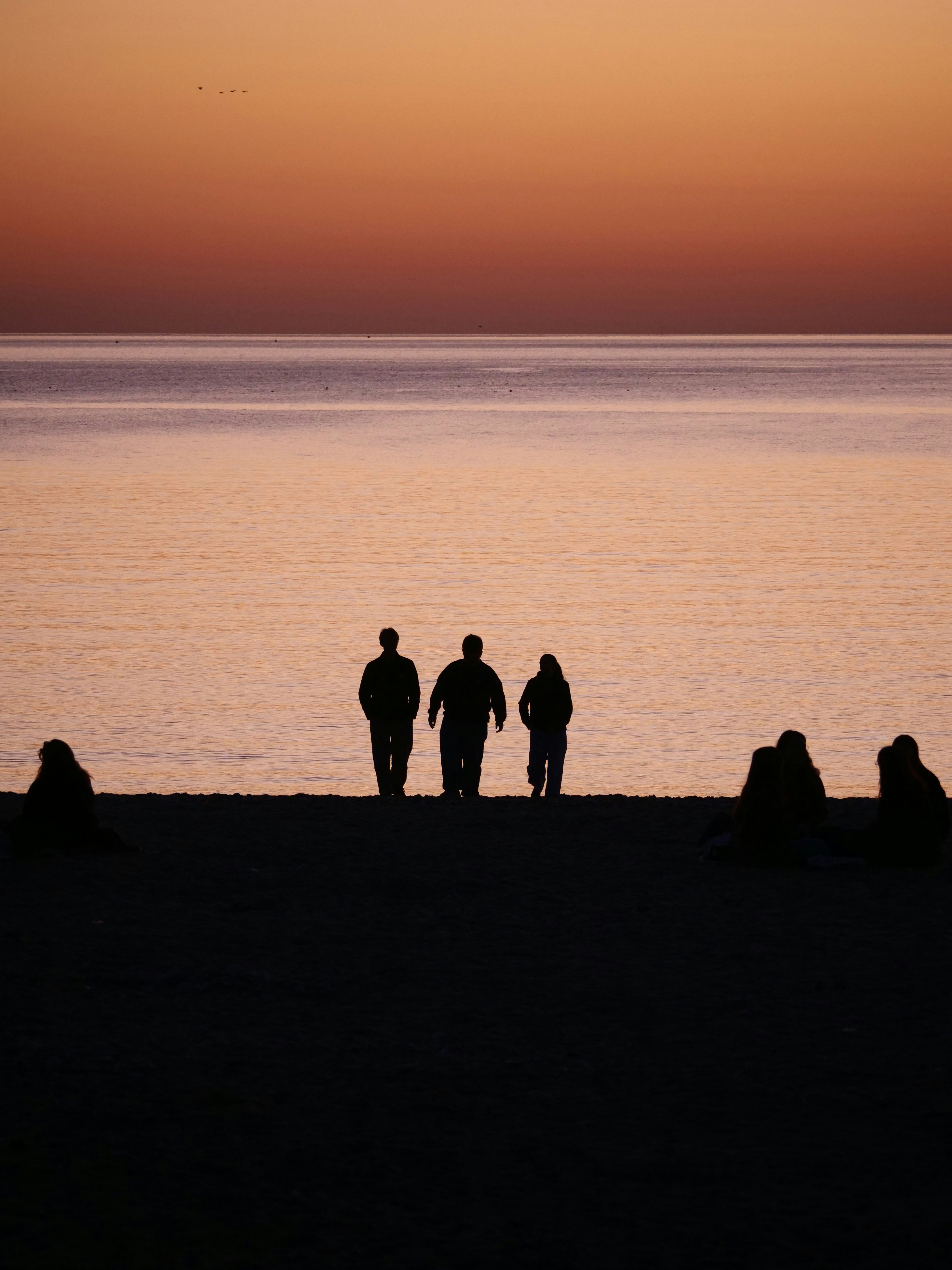 Silhouetted Friends at Dusk: A Quiet Shoreline Moment