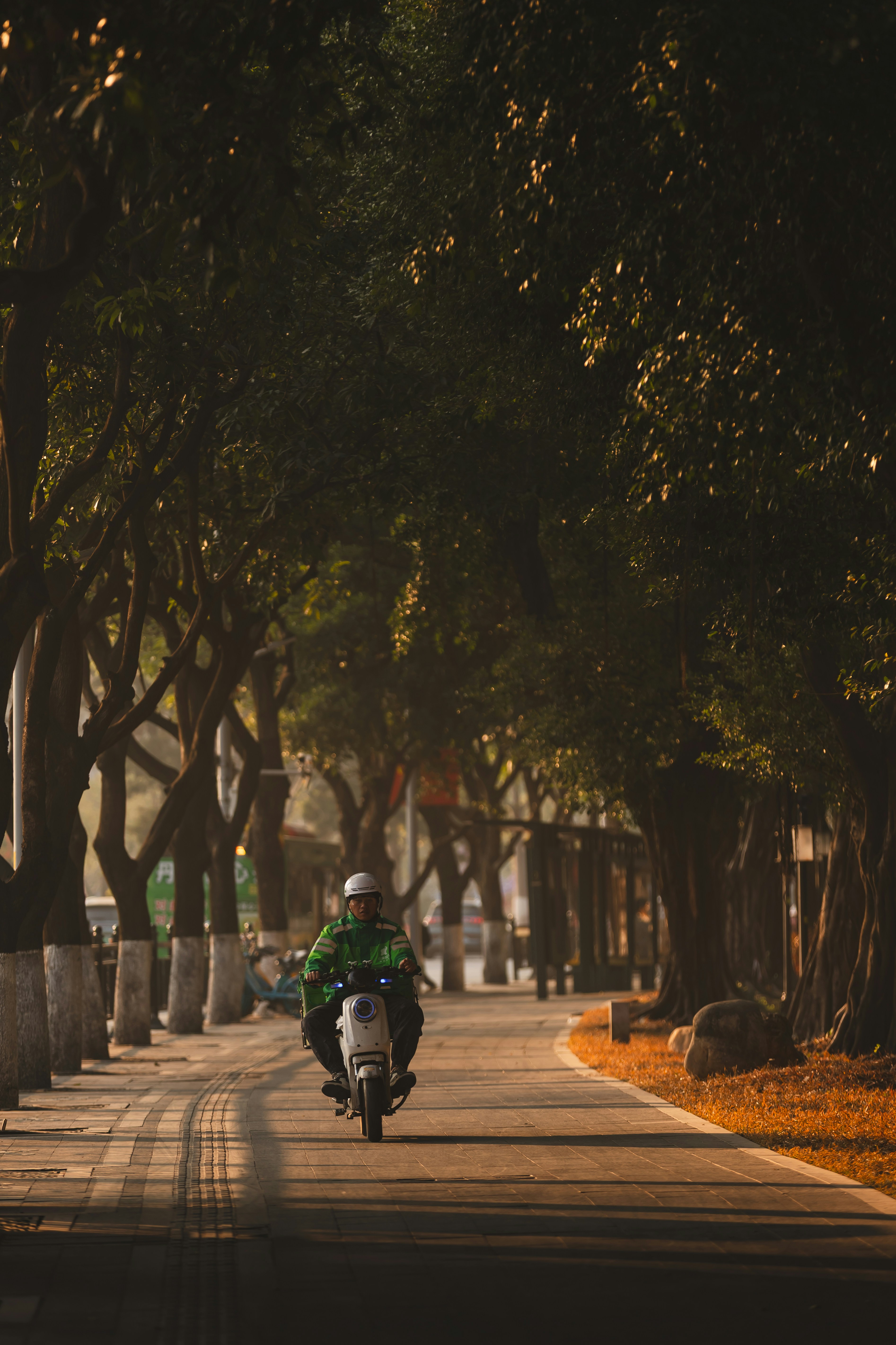 Midday Alley Riser: A lone rider on a quiet avenue