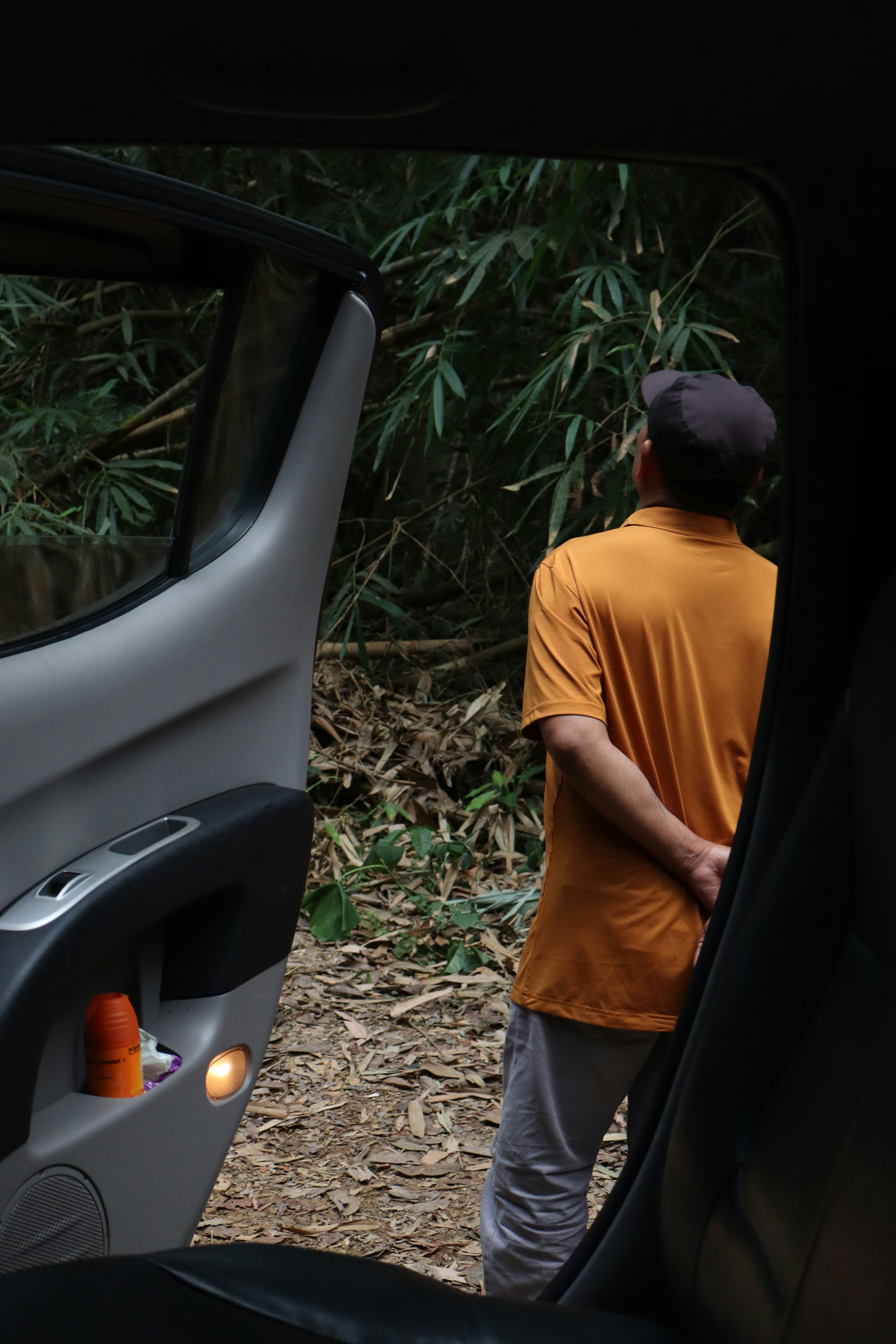 Backlit Figure in a Car Door Frame: A Quiet Outdoor Moment