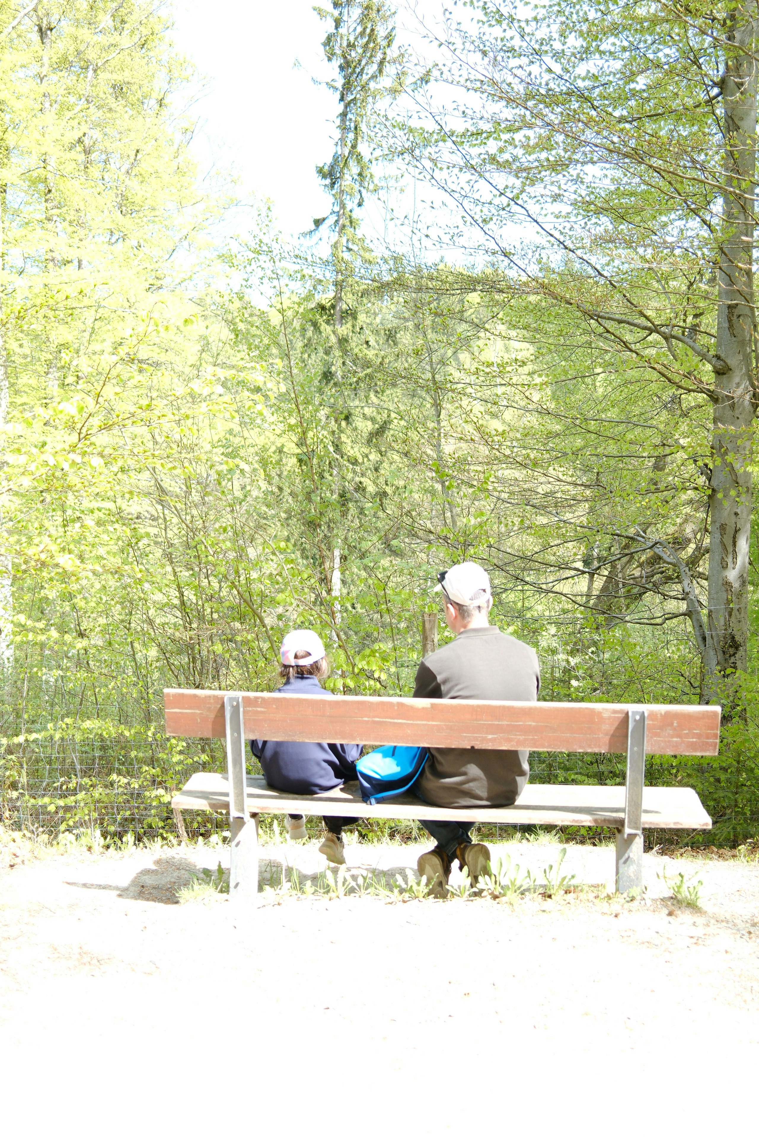 Quiet Conversation on a Sunny Park Bench