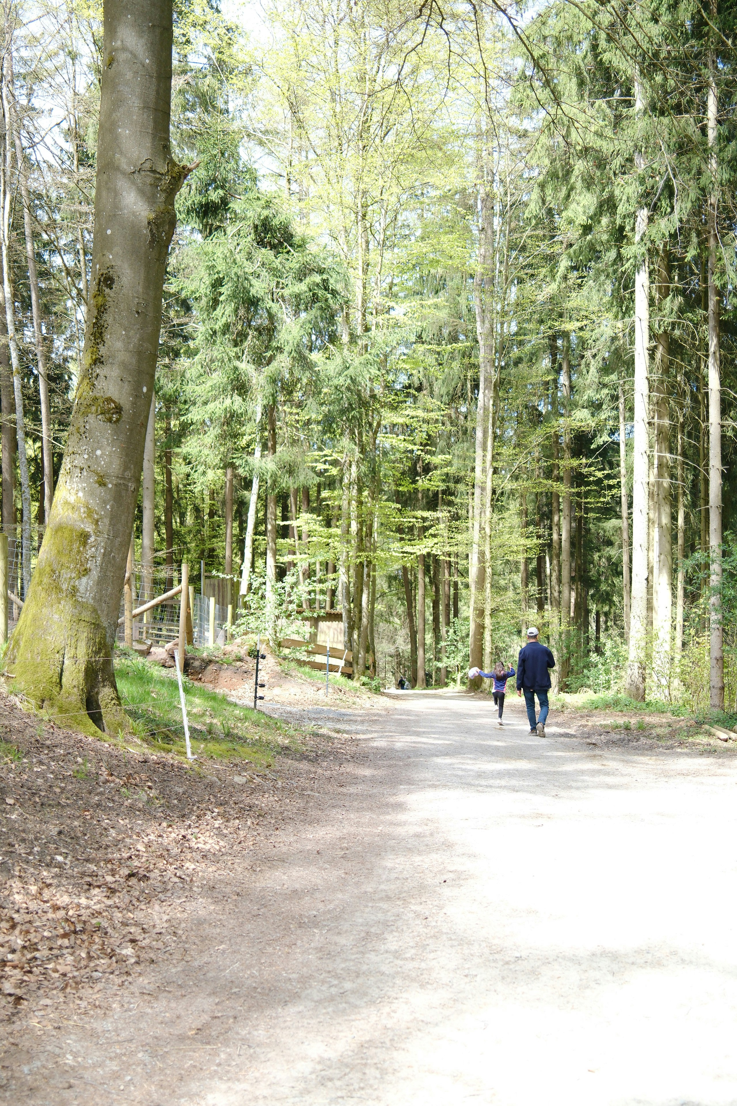 Forest Path Stroll: Two Figures and a Wooded Path