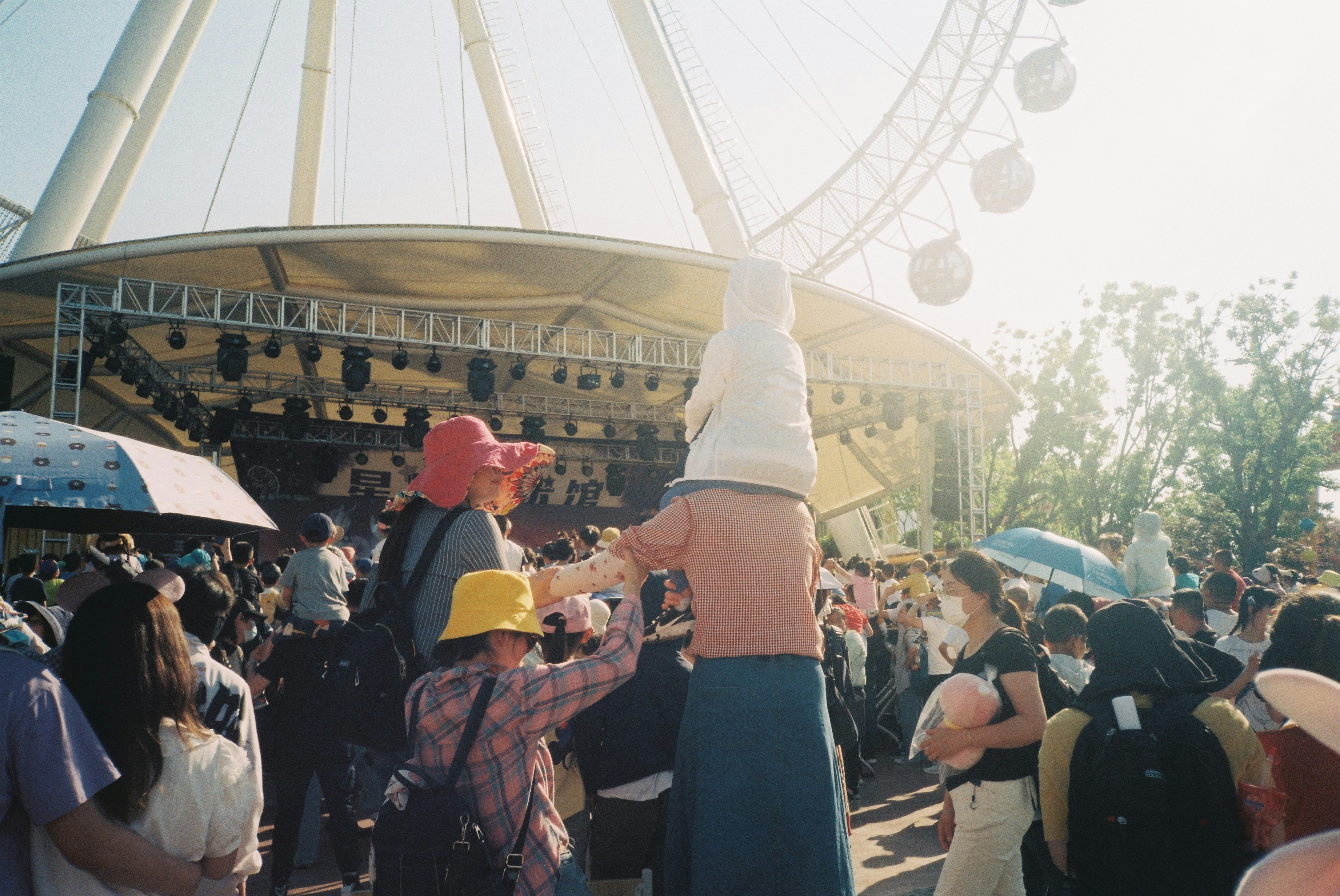 Crowd Surge at an Outdoor Festival Stage