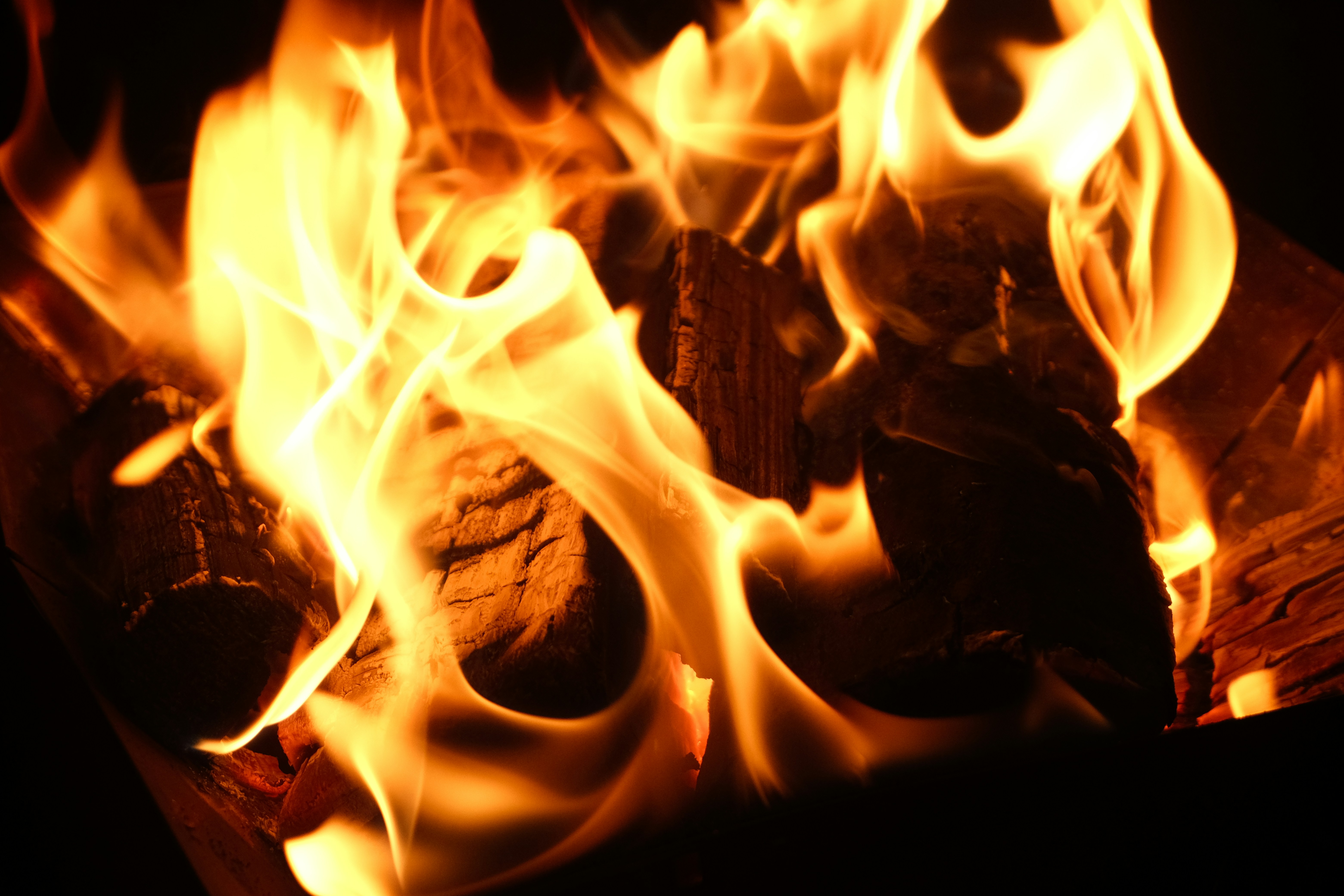 Ember Chorus: Close-Quarters Firelight on Charred Log