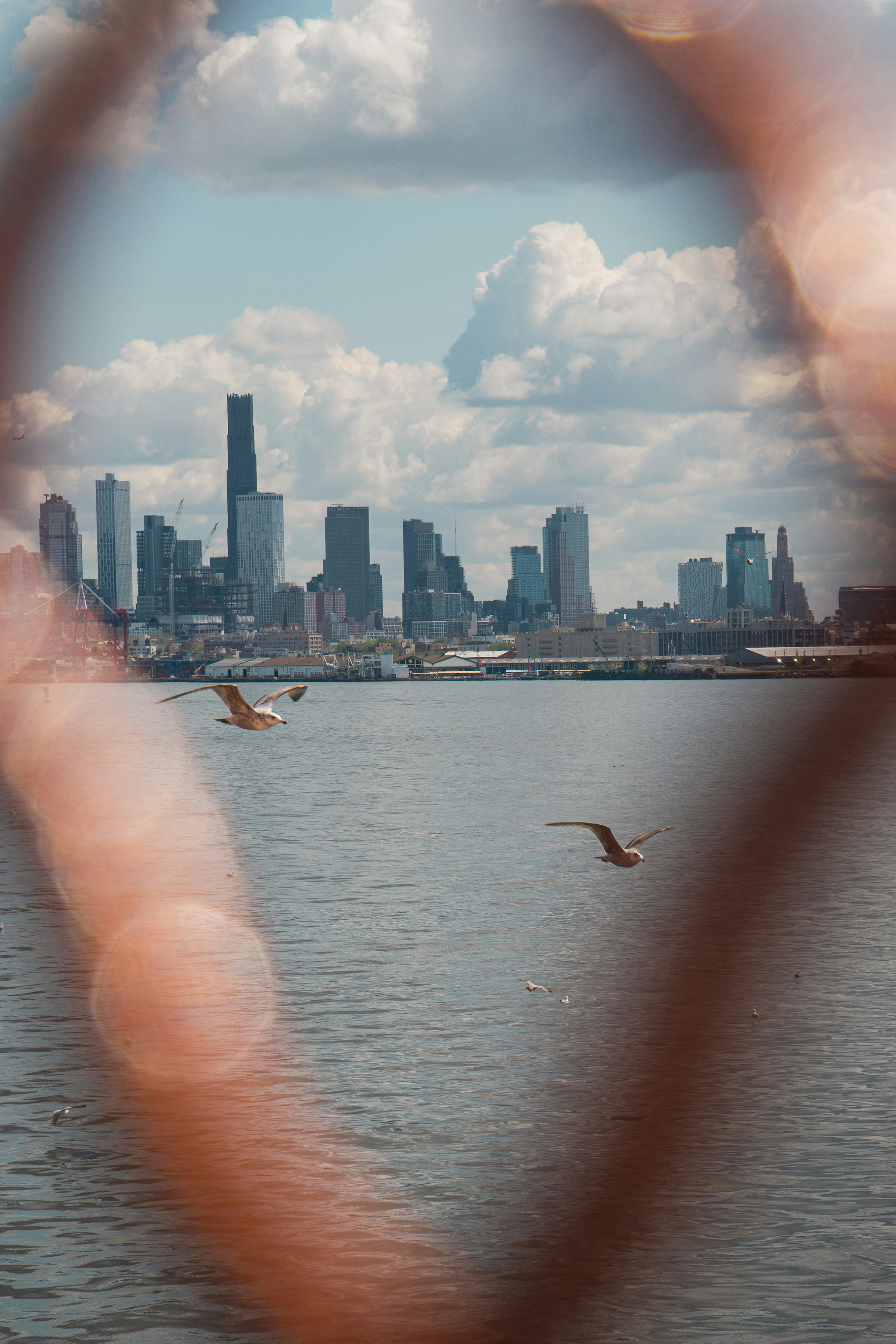 City Skyline Framed by Gentle Circles
