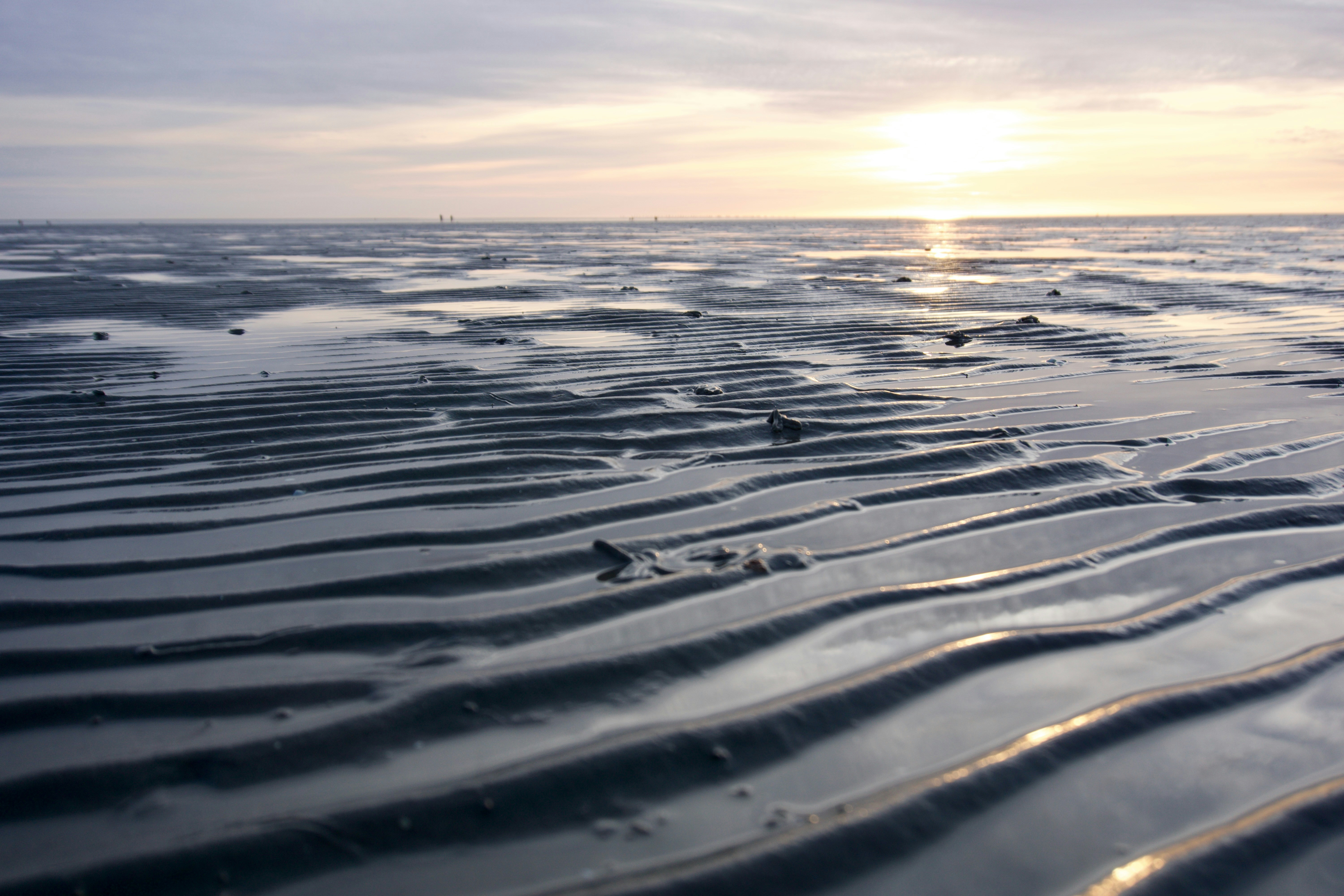 Sunlit Ripples on a Glassy Shore at Dusk