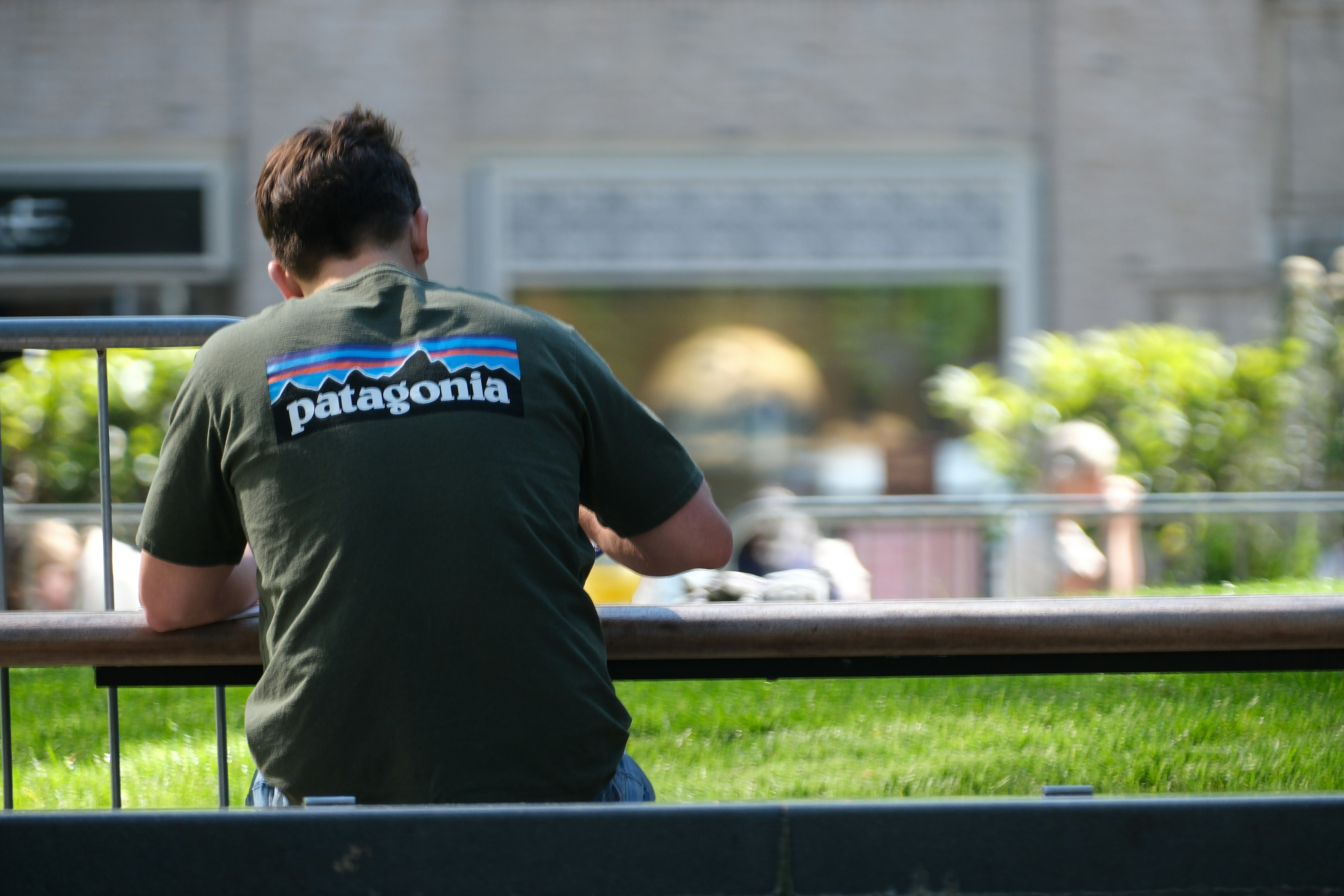 Backward Glance at a Green Patagonia Tee