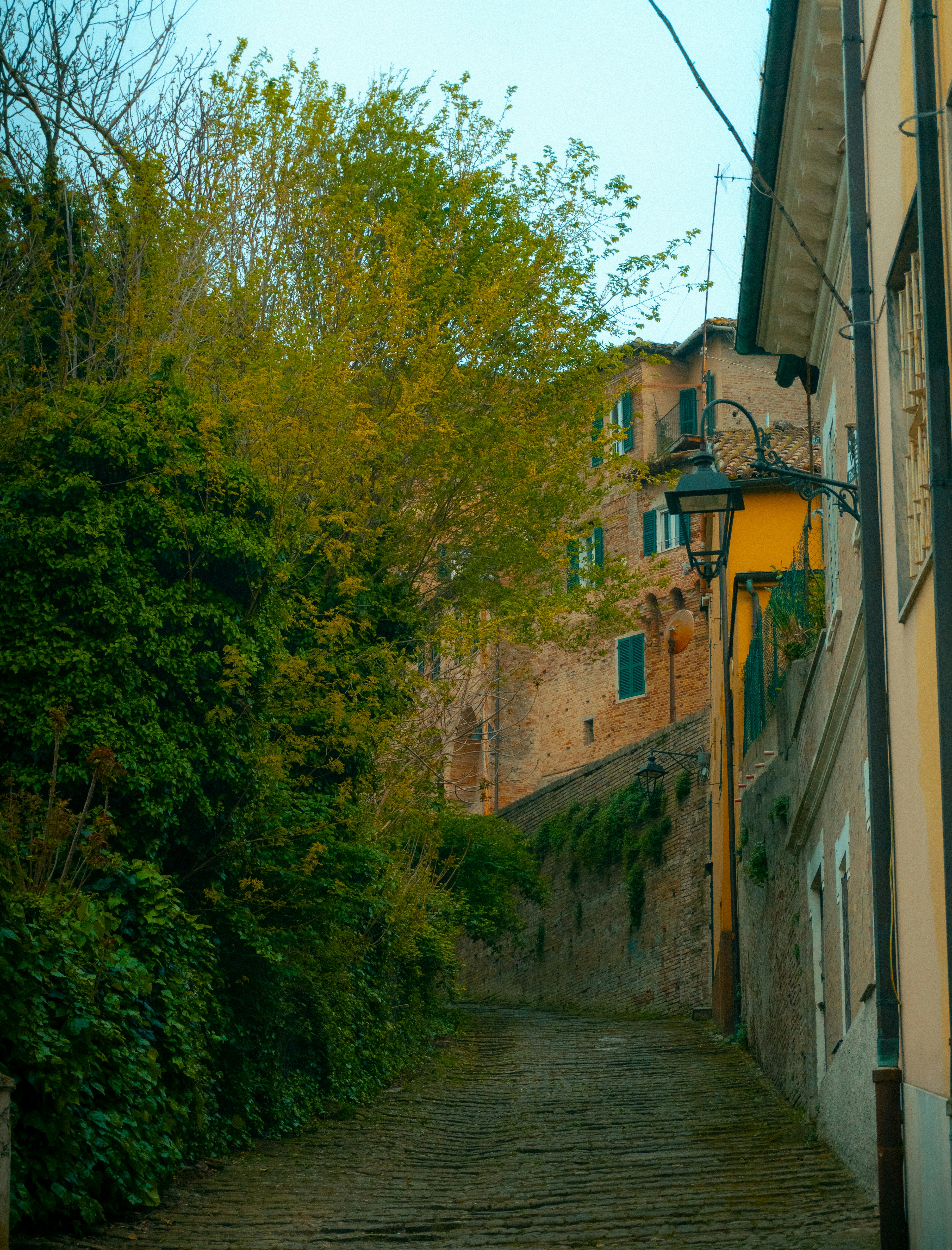 Sunlit Alley Cresting the Hill