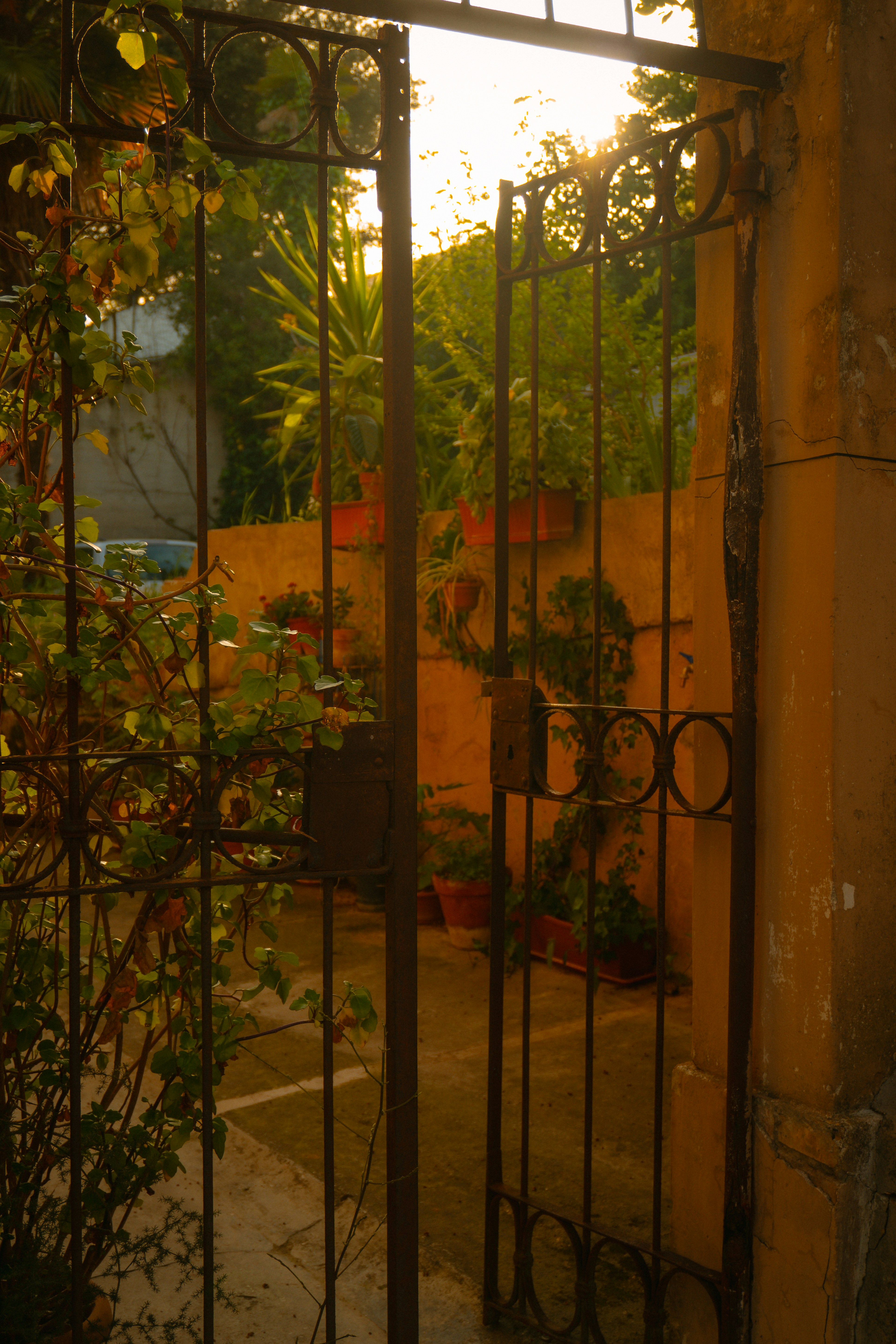 Golden Gate Between Garden Walls