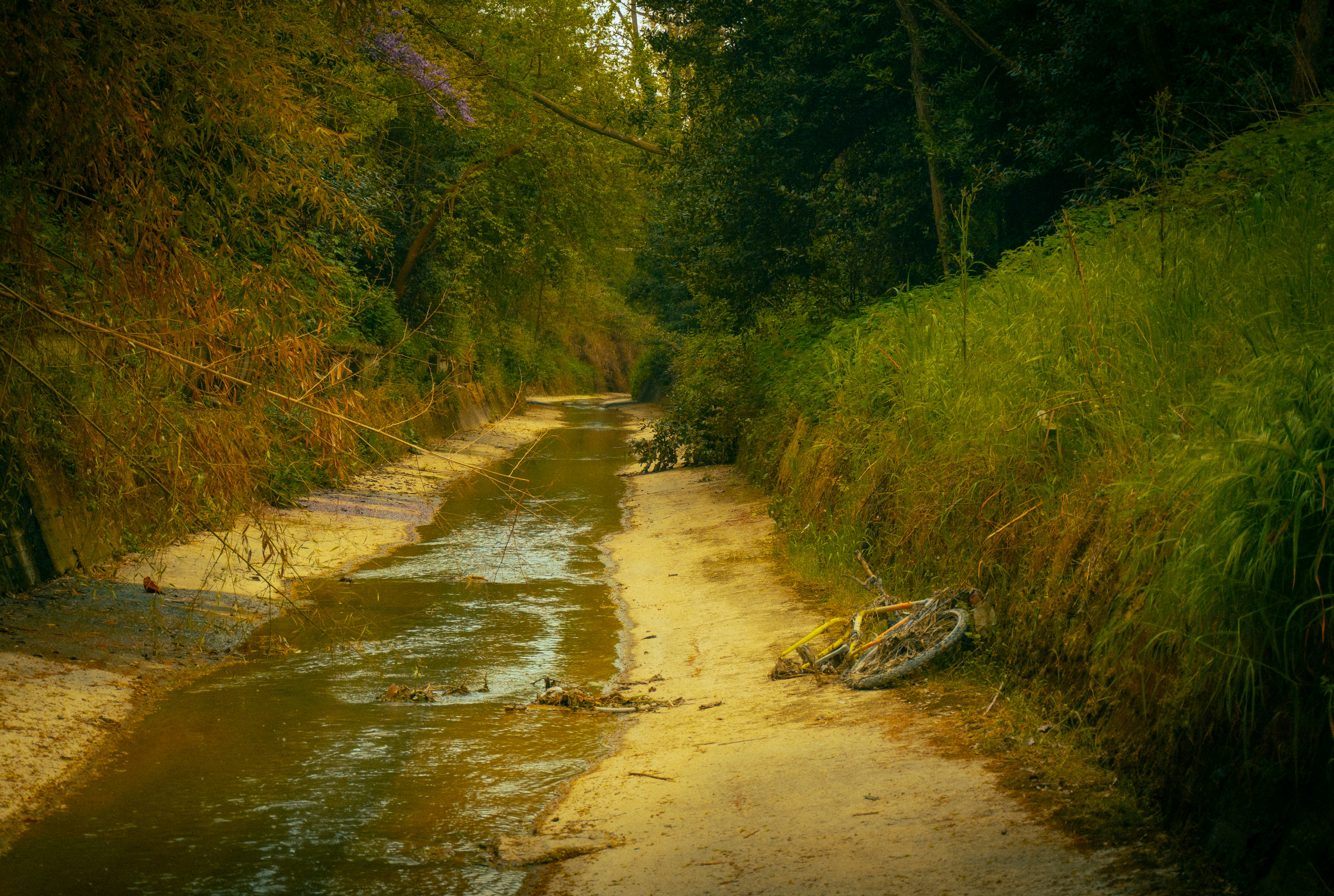 Cracked Riverbed Trail: A Quiet Bend with a Weathered Bicycle