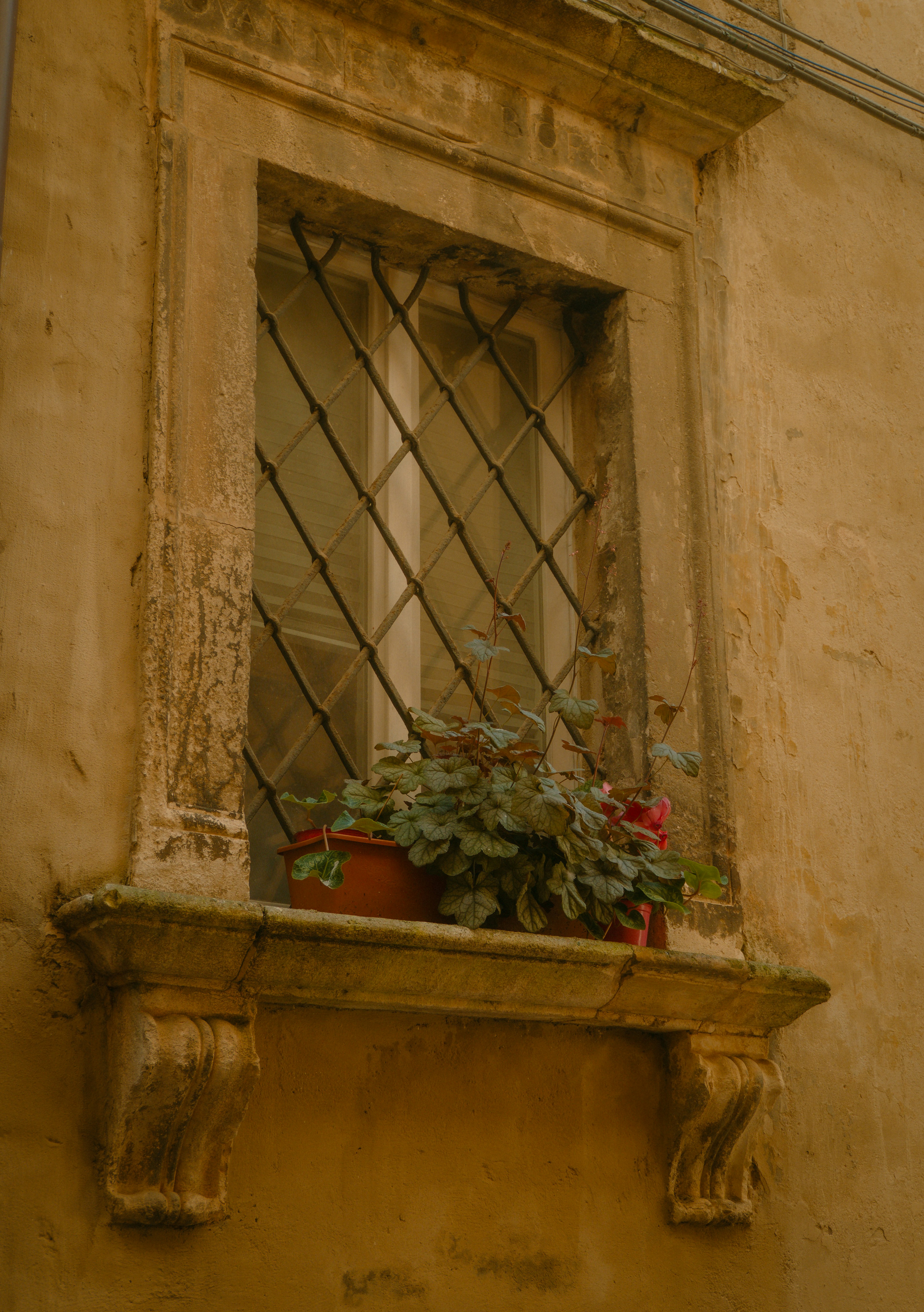 Muted Sunset Window Box