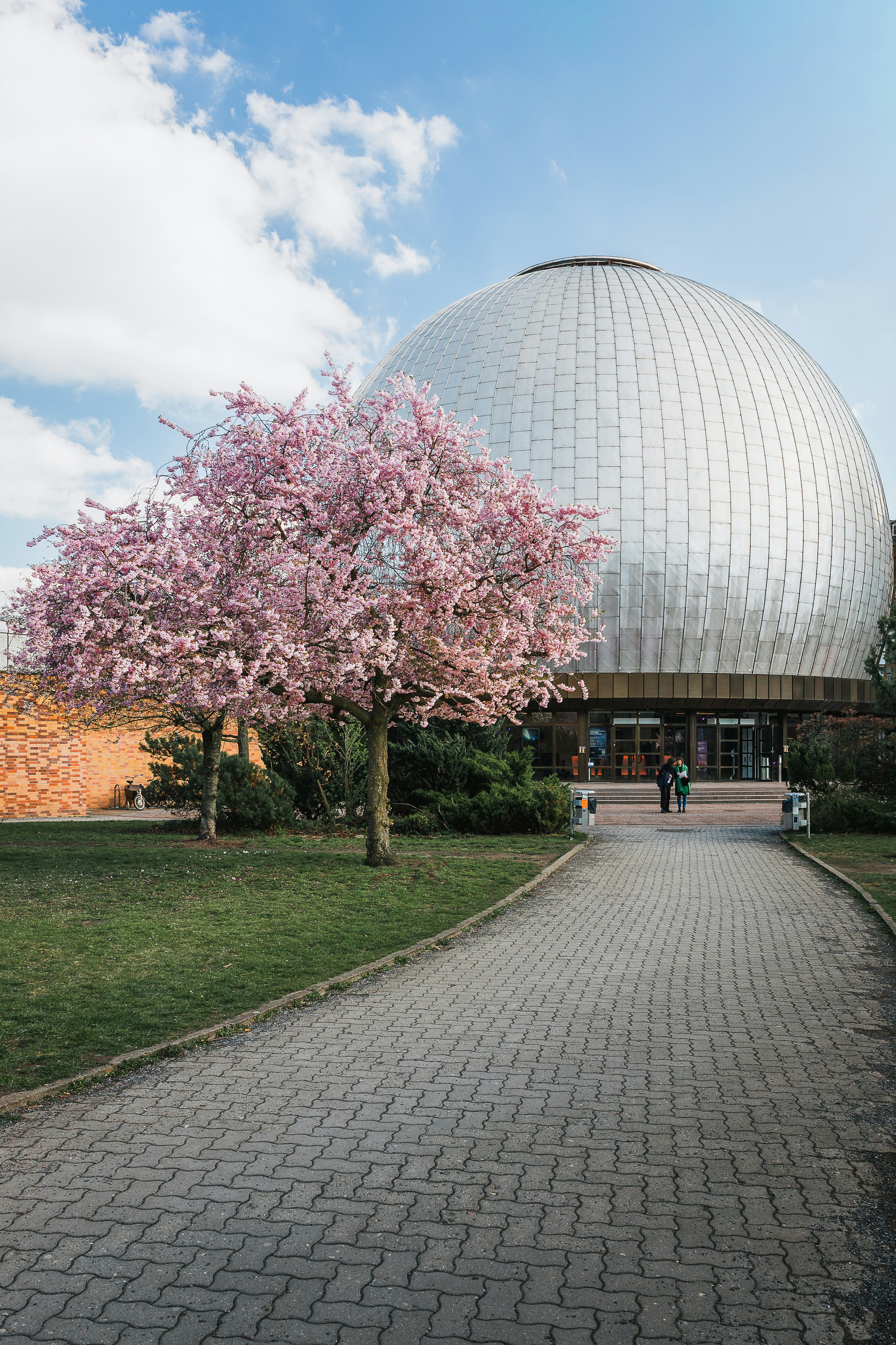 Blossoms and the Dome: Path to the Silver Sphere