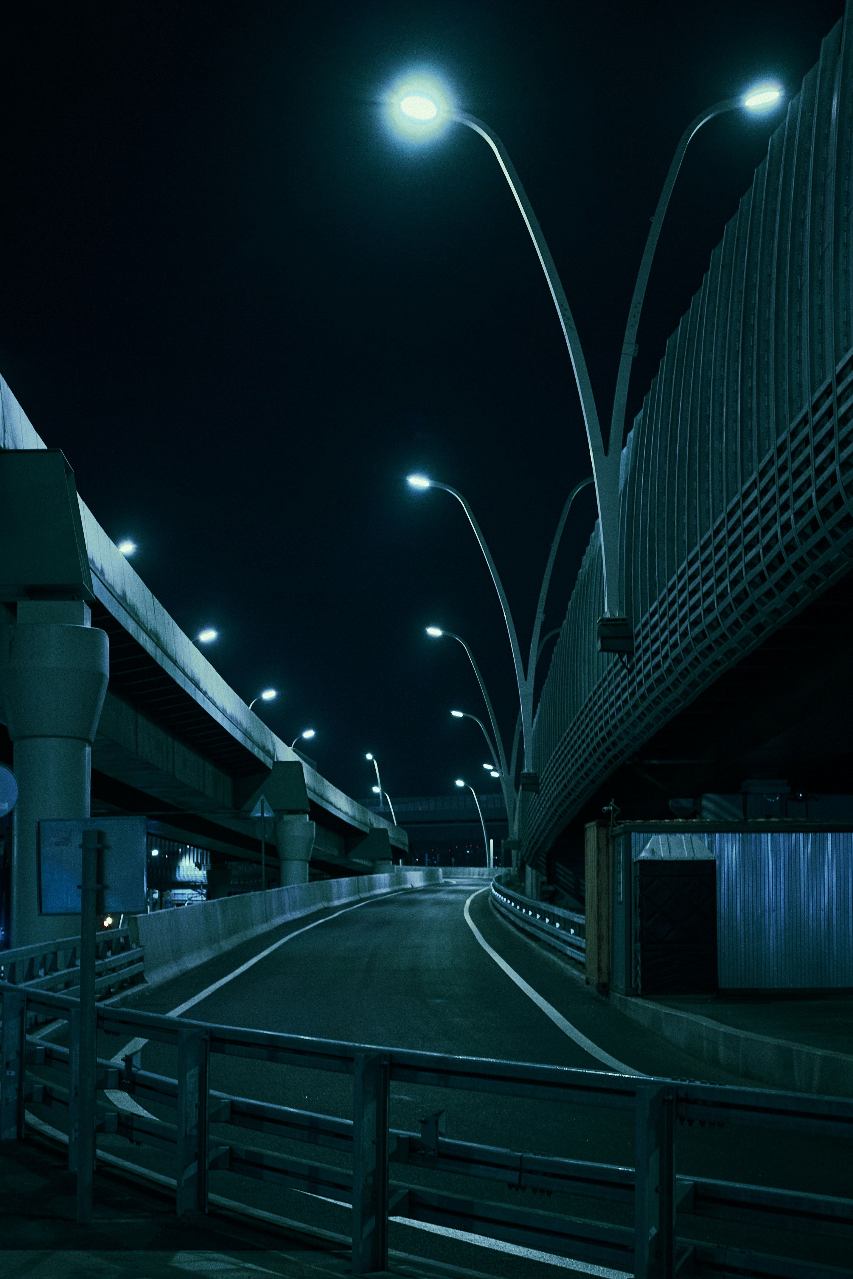 Neon Arches: Night Road Under Curving Streetlights