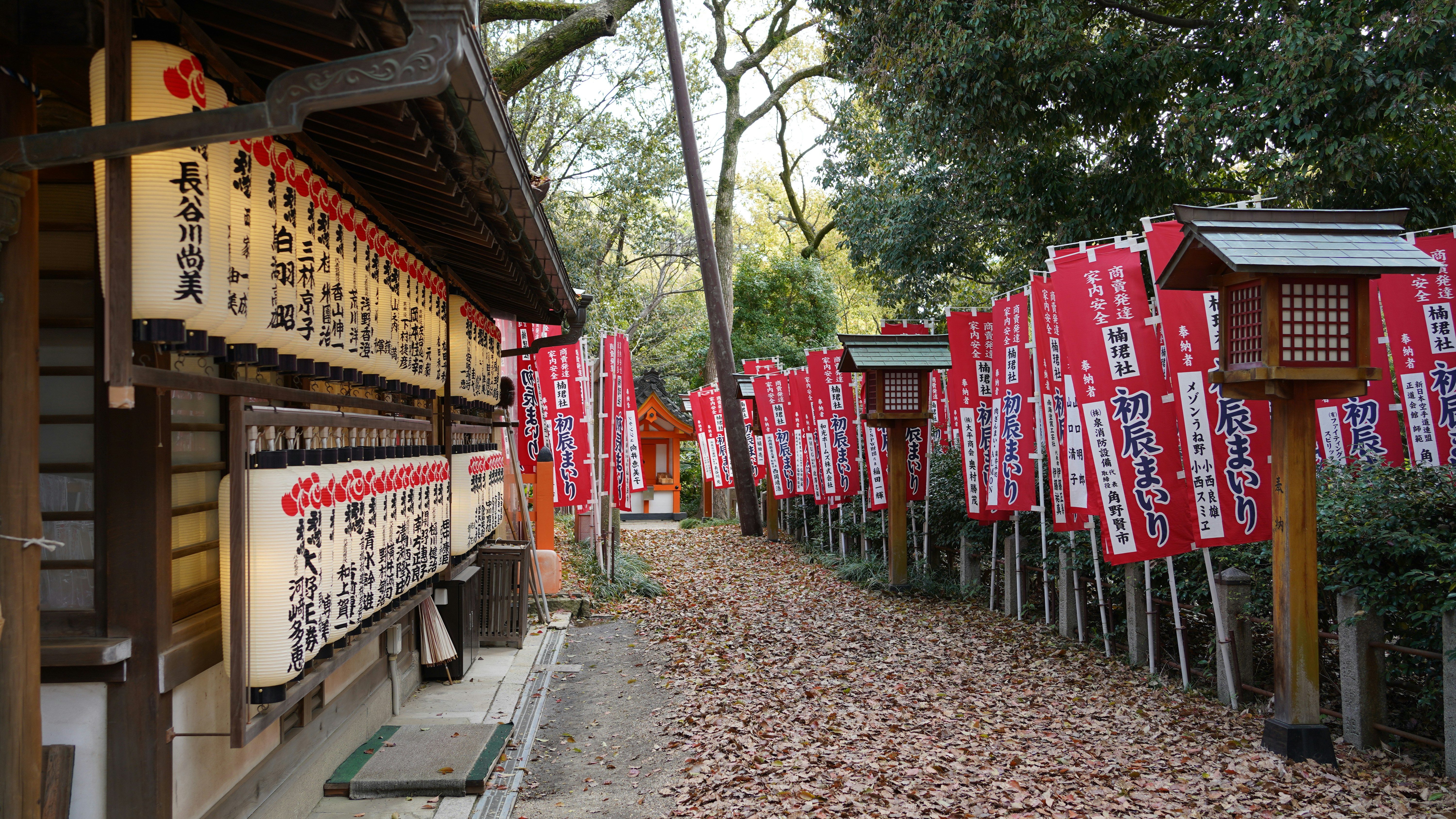 Red Lantern Corridor: A Quiet Shrine Path Shrouded in Fallen Leaves