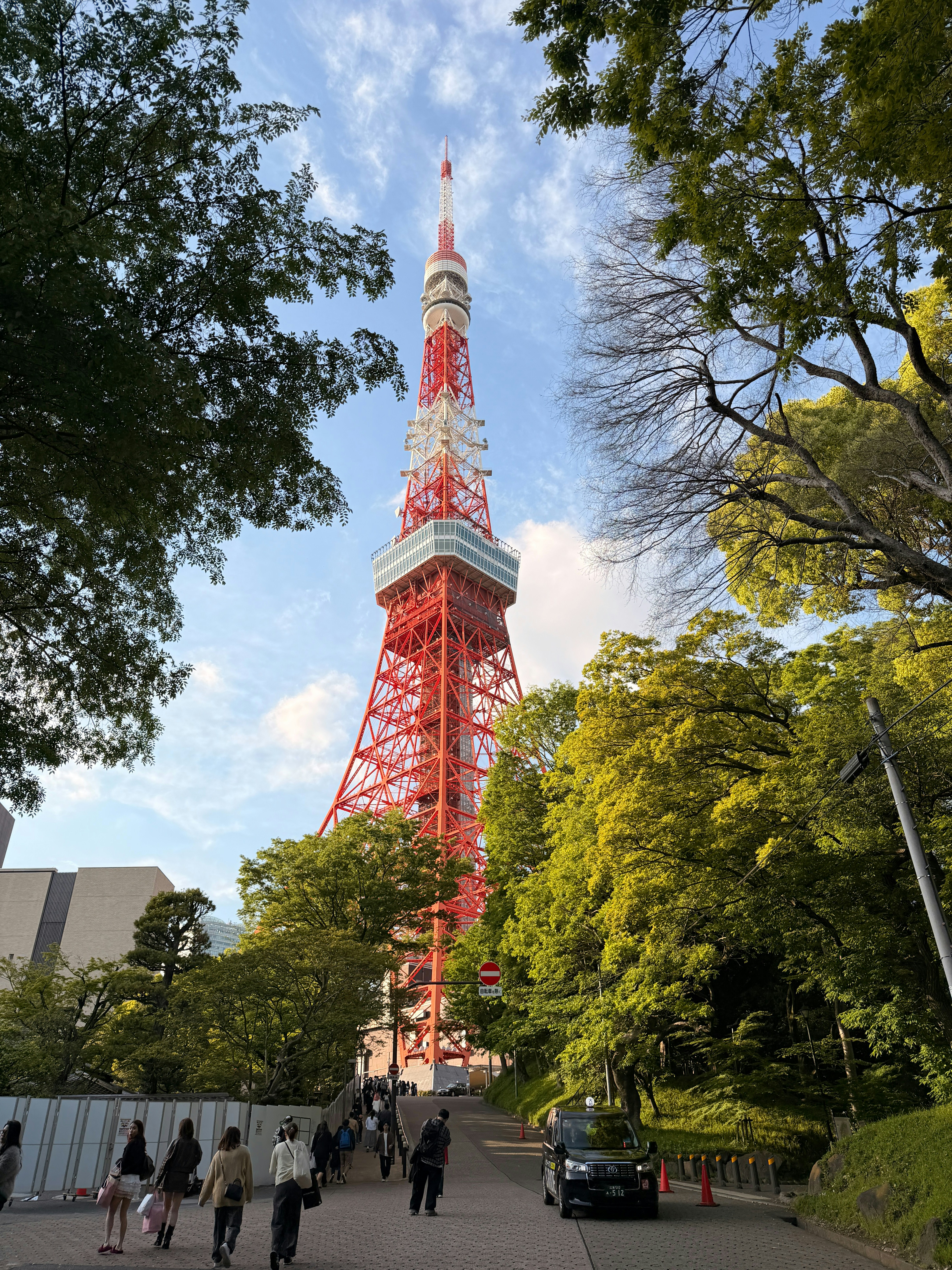 Tokyo Tower under blue sky framed by green canopy